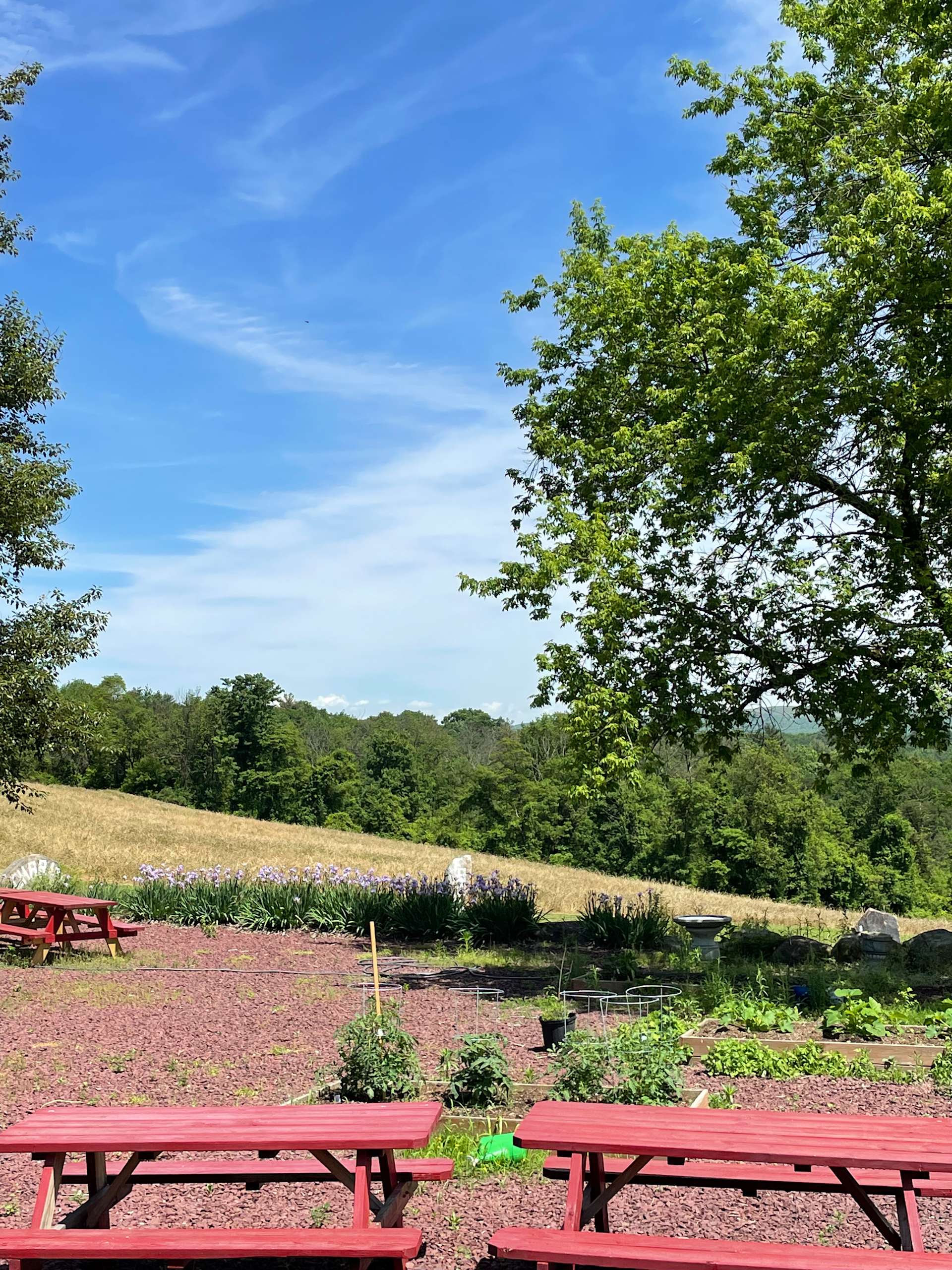 Lehigh Gap view at Josephine’s Farm - Hipcamp in Palmerton, Pennsylvania