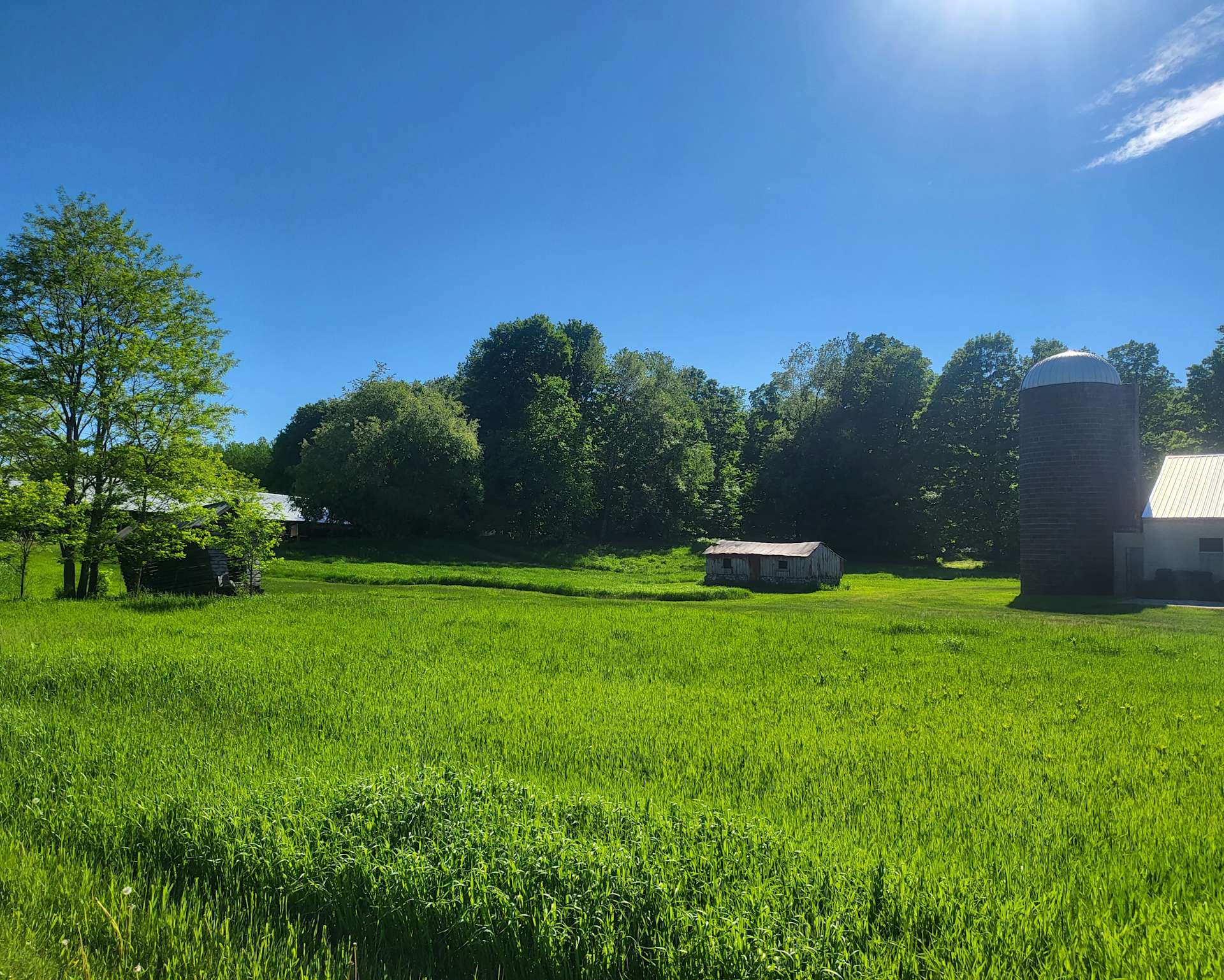Maple Valley Farm - Hipcamp in Empire, Michigan