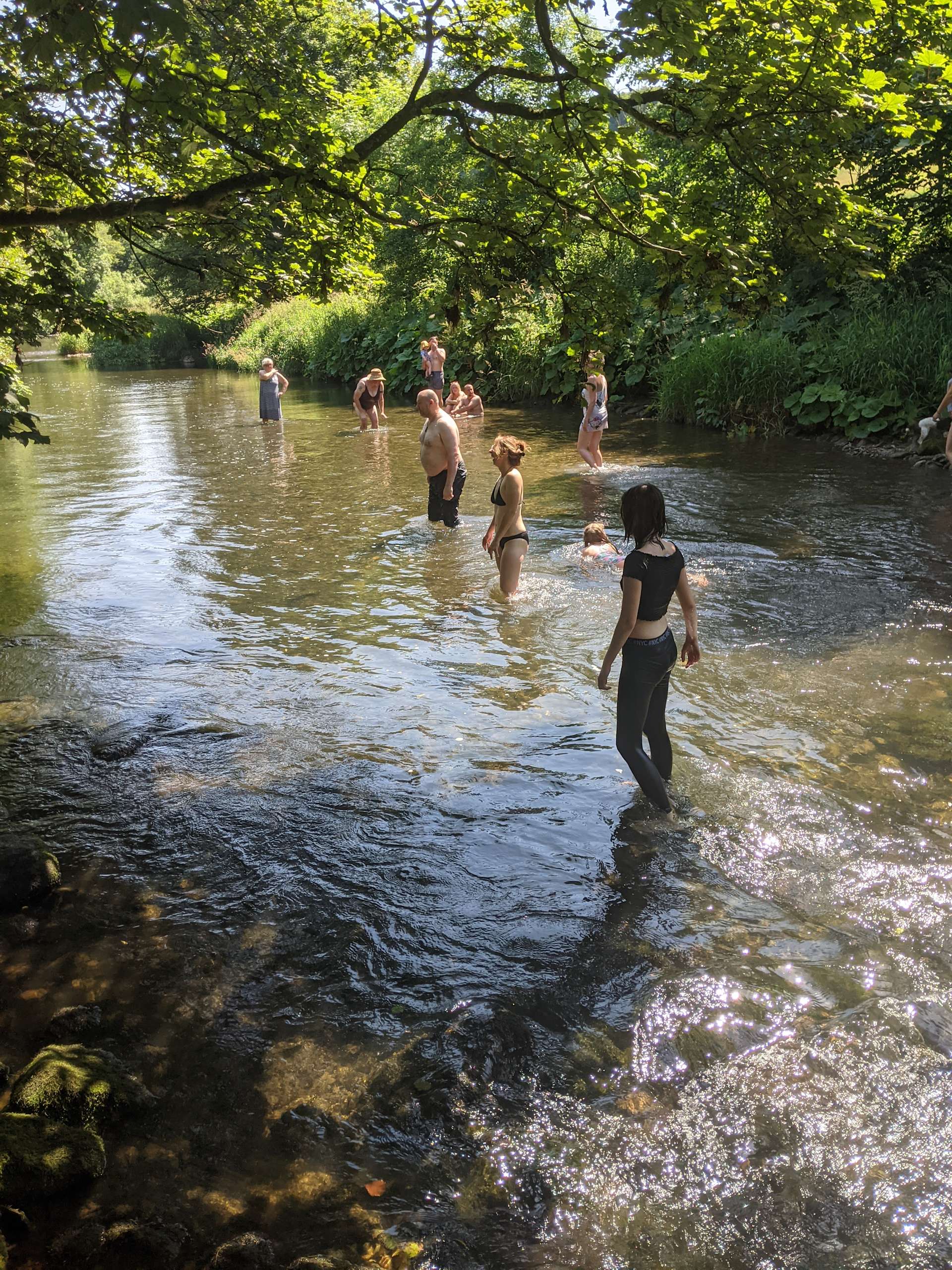 Alder Carr Farm - Hipcamp in , England