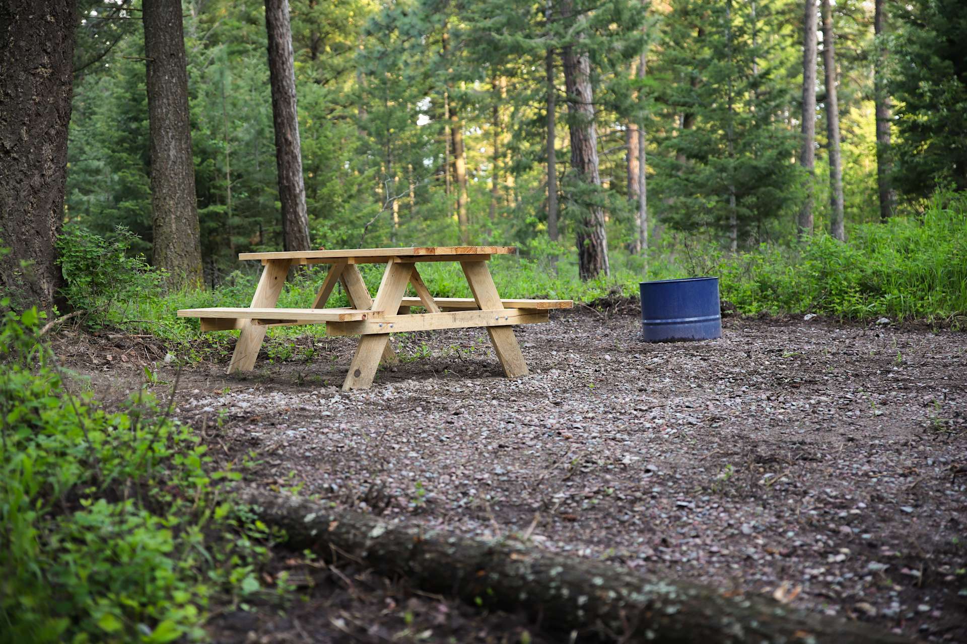 Camp Milo - Hipcamp in Columbia Falls, Montana