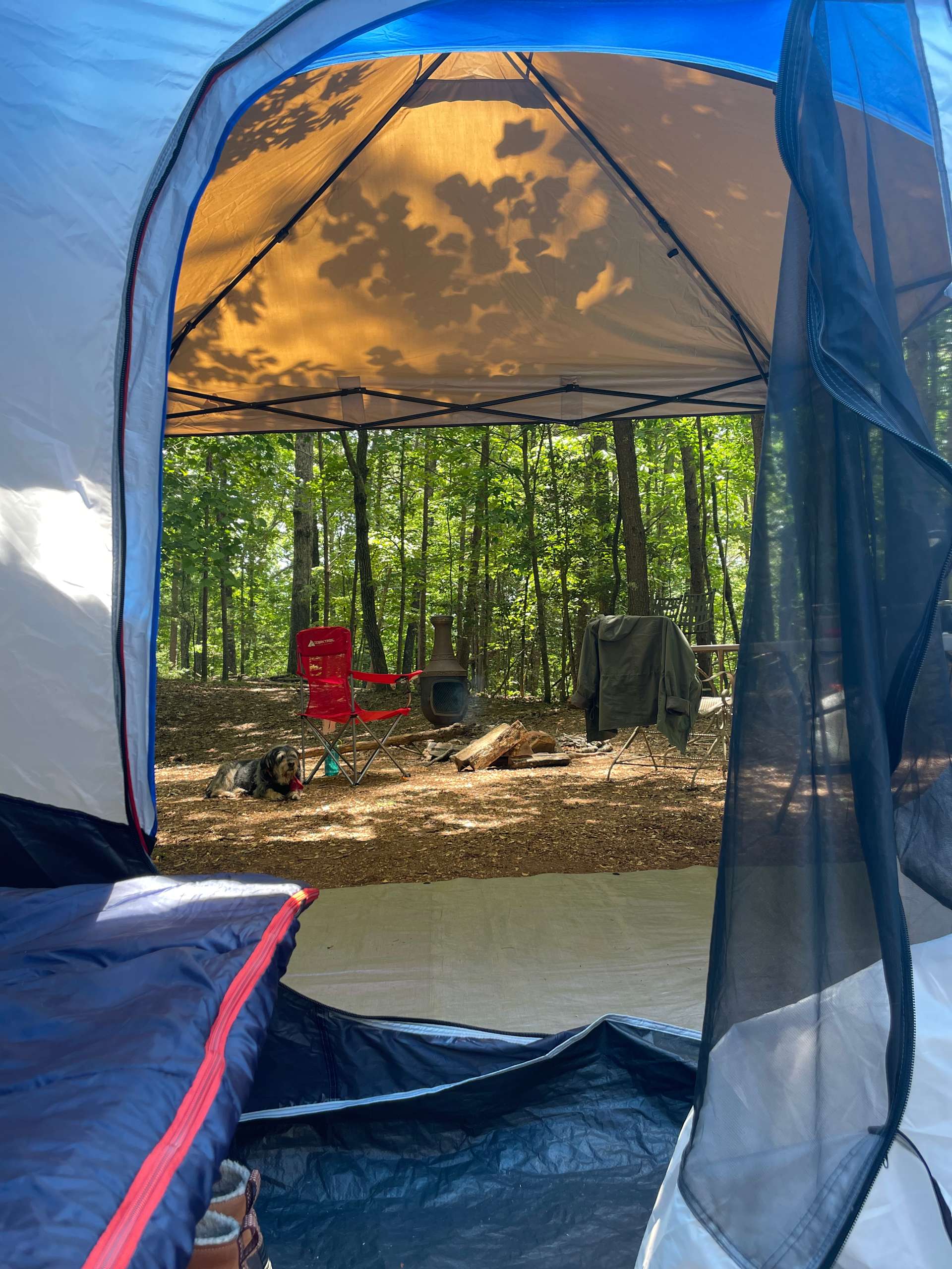Wooded Camping at Pond - Hipcamp in Cleveland, Georgia