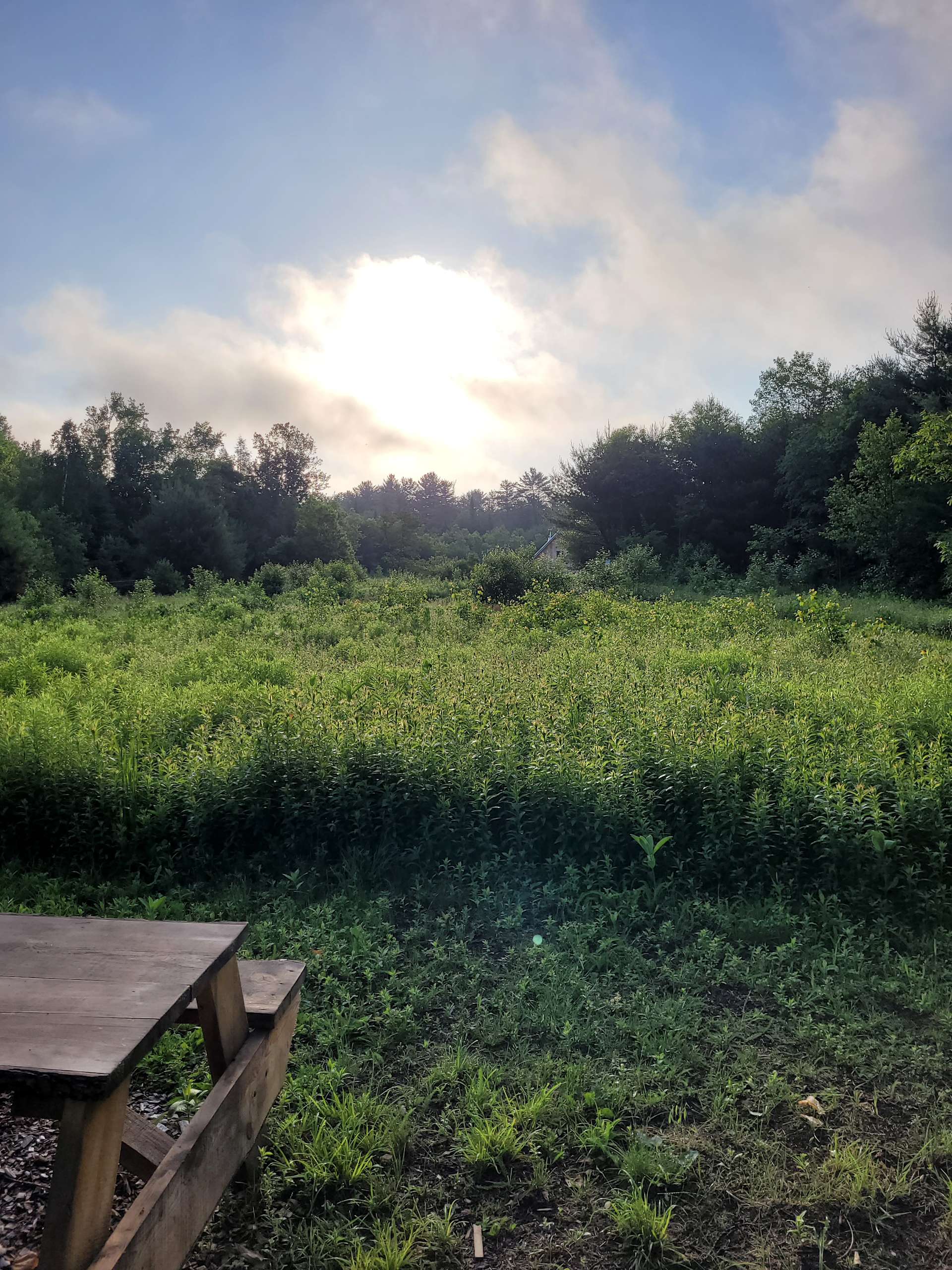 Old Farm Field - Hipcamp in Littleton, New Hampshire