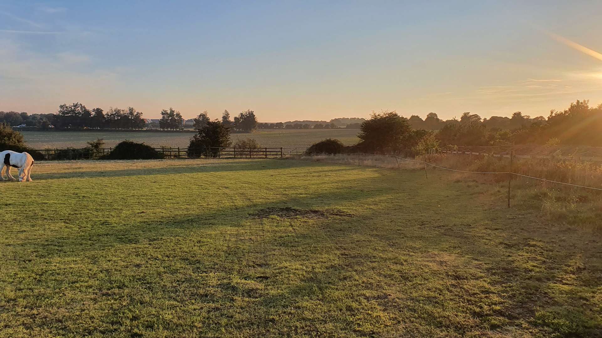 Nelson Park Riding Centre - Hipcamp in Margate, England