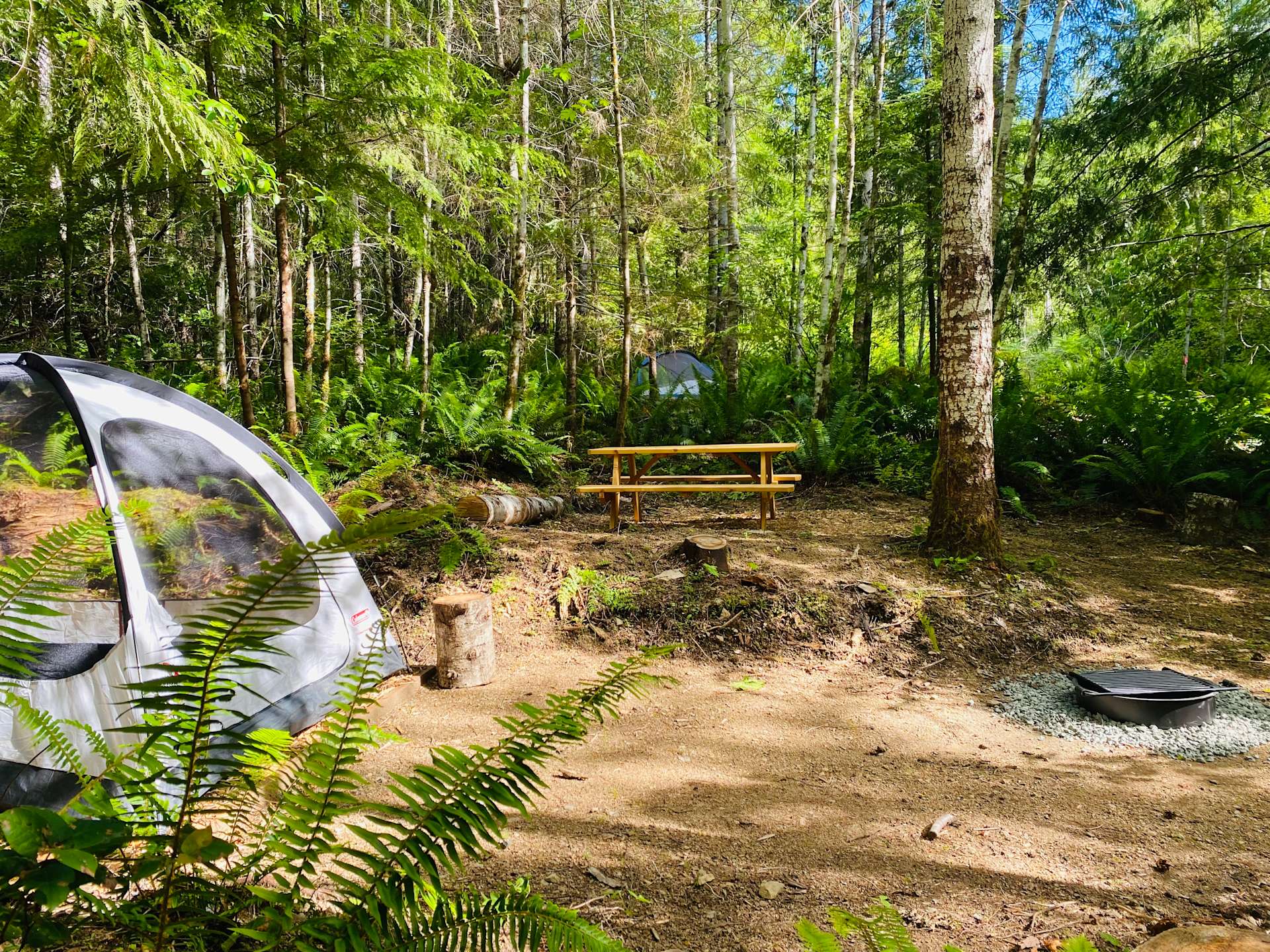 Wandering Joy Campground - Hipcamp in Port Angeles, Washington