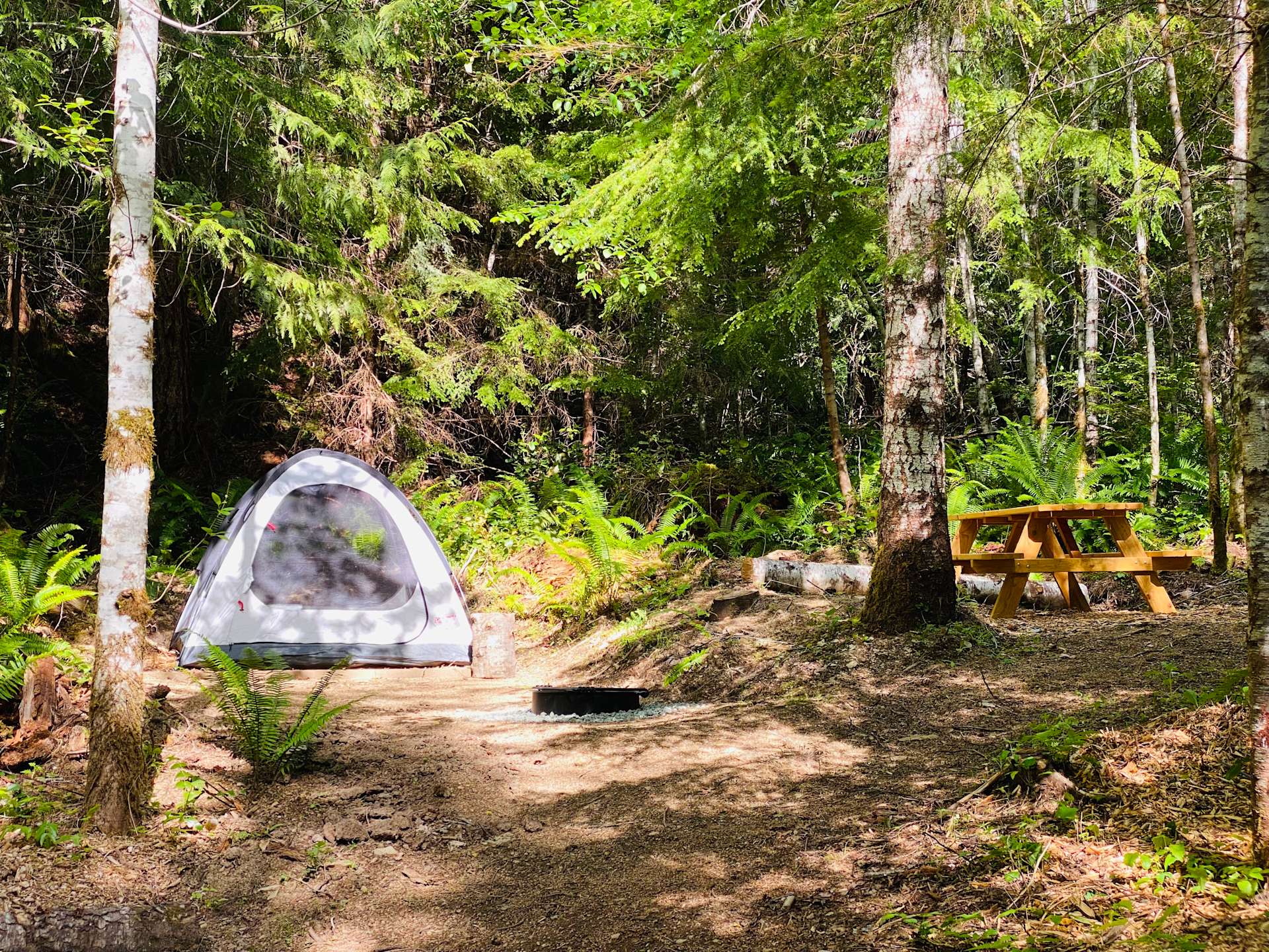Wandering Joy Campground - Hipcamp in Port Angeles, Washington