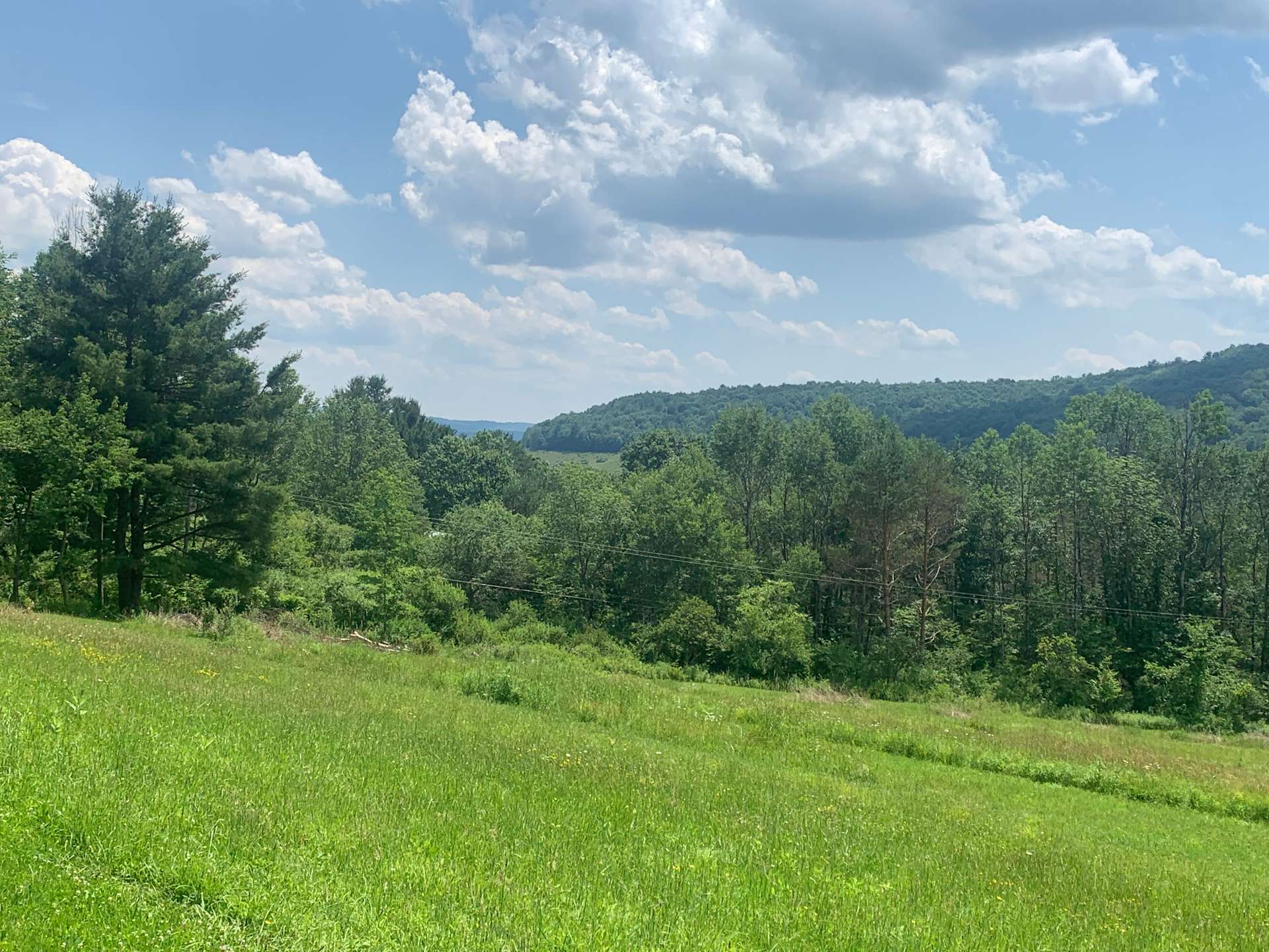 Hof Irmgard - Hipcamp in Newark Valley, New York