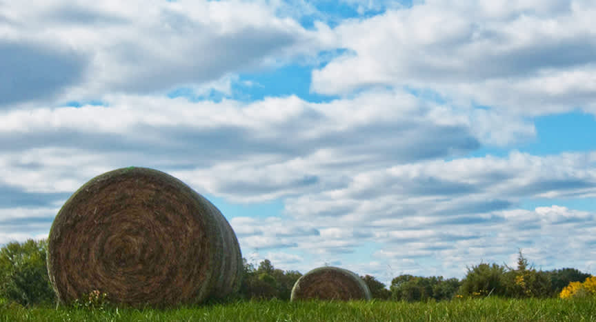 Inn at Dancing Rabbit Ecovillage - Hipcamp in , Missouri