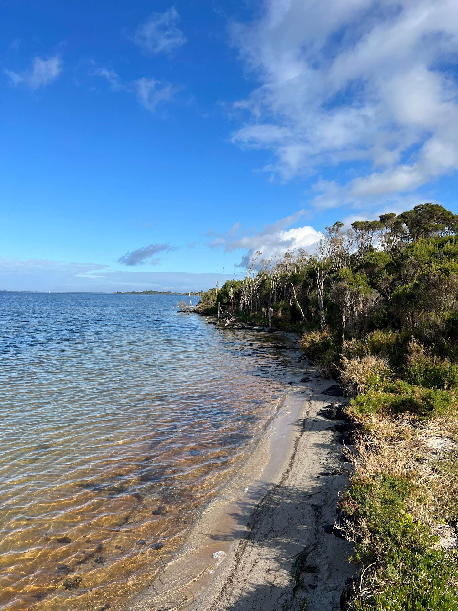 Wattle Point Farm - Hipcamp in Forge Creek, Victoria