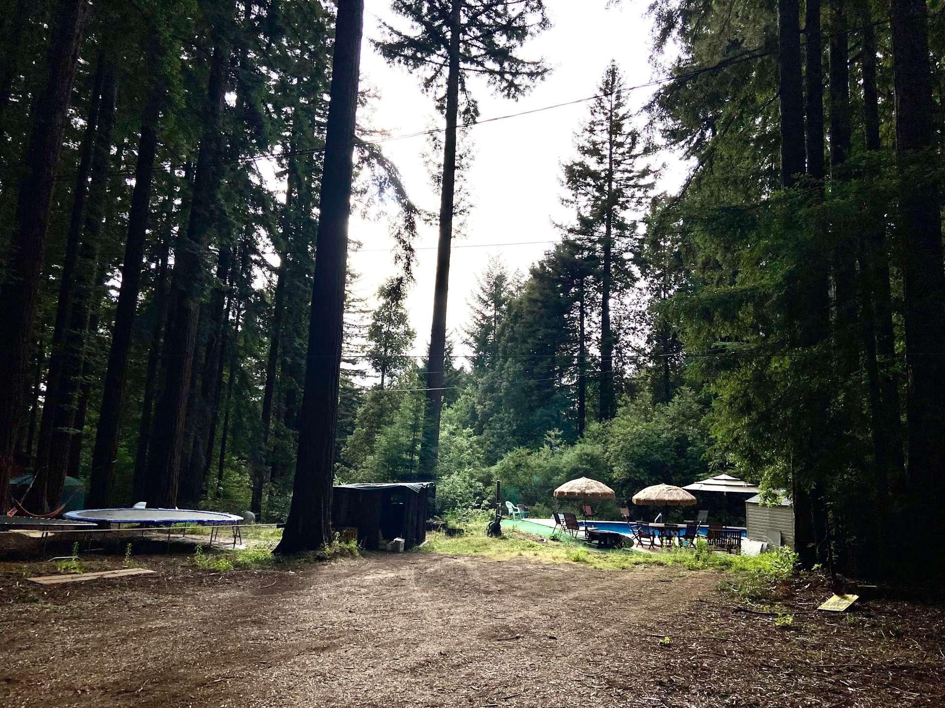 Redwood Paradise Camping - Hipcamp in , California
