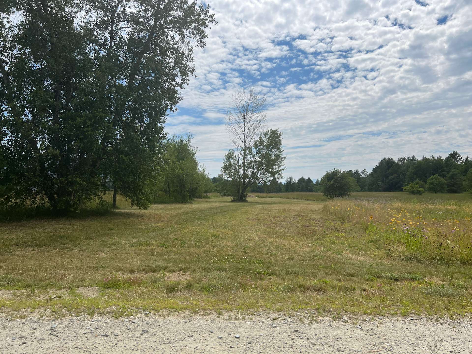 The Meadows of Worcester View - Hipcamp in Morrisville, Vermont