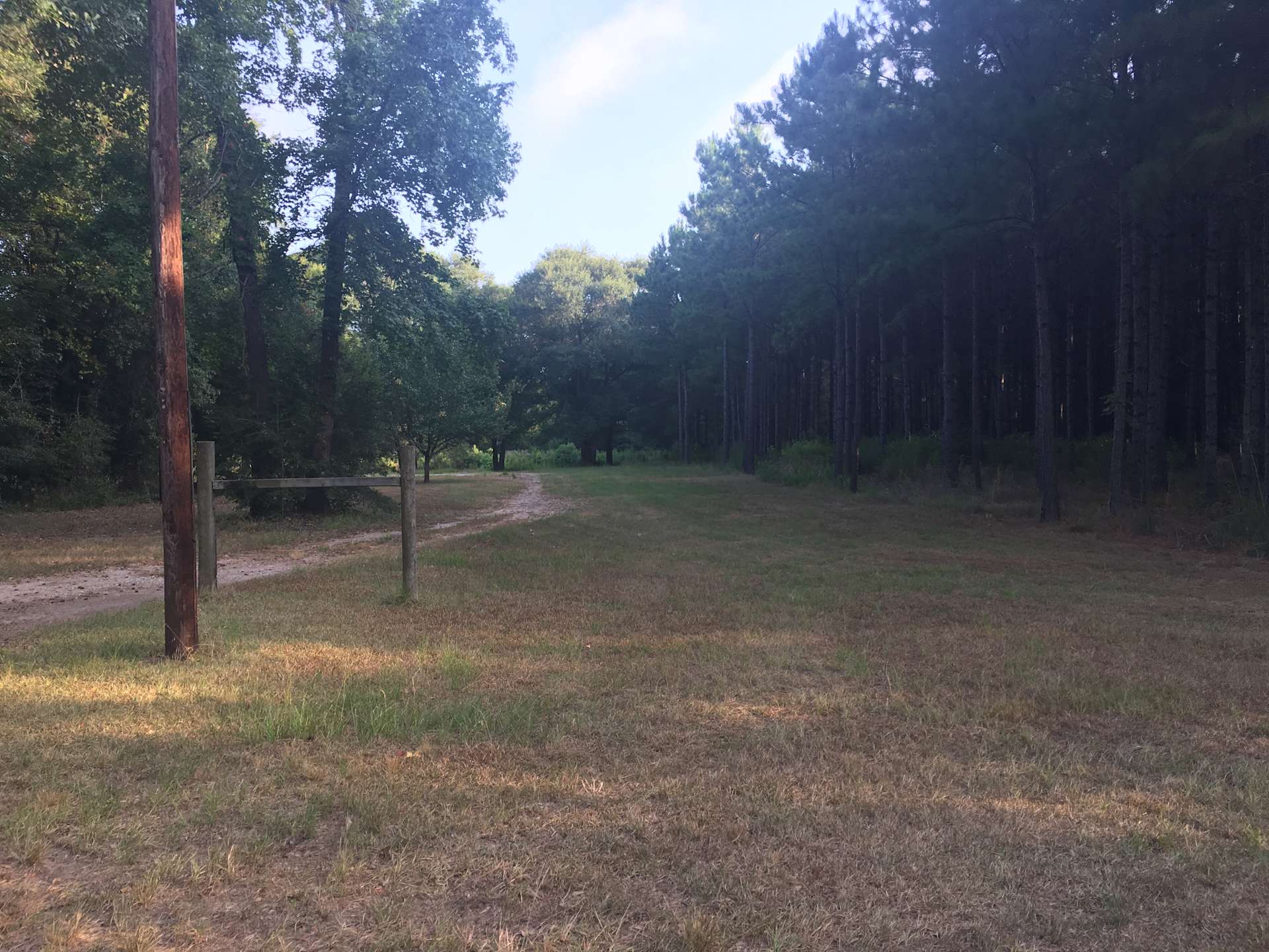 Hazel Park - Hipcamp in Panorama Village, Texas