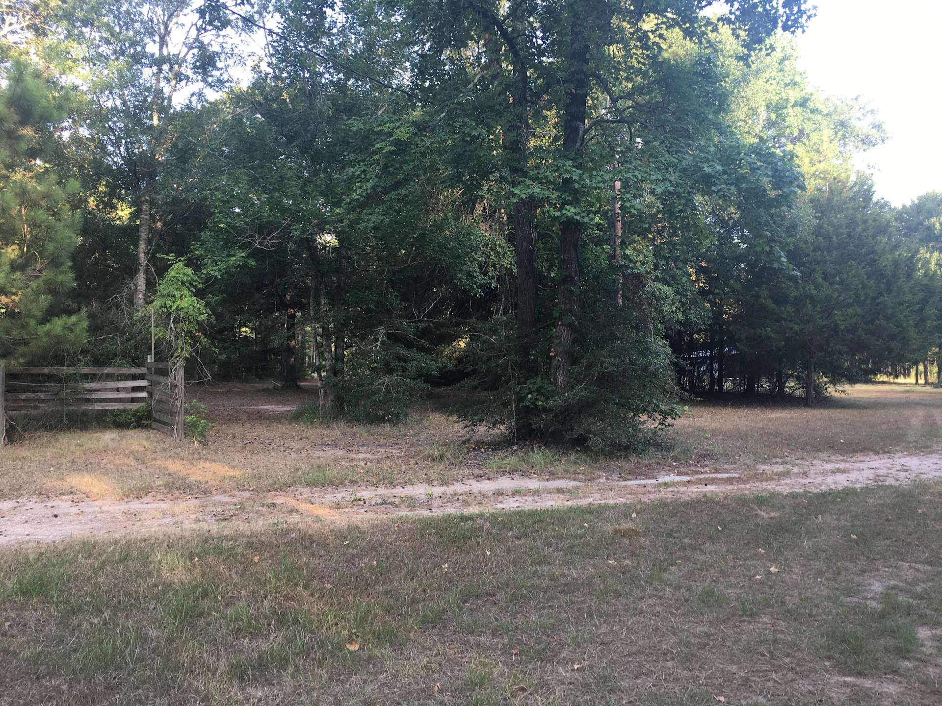 Hazel Park - Hipcamp in Panorama Village, Texas