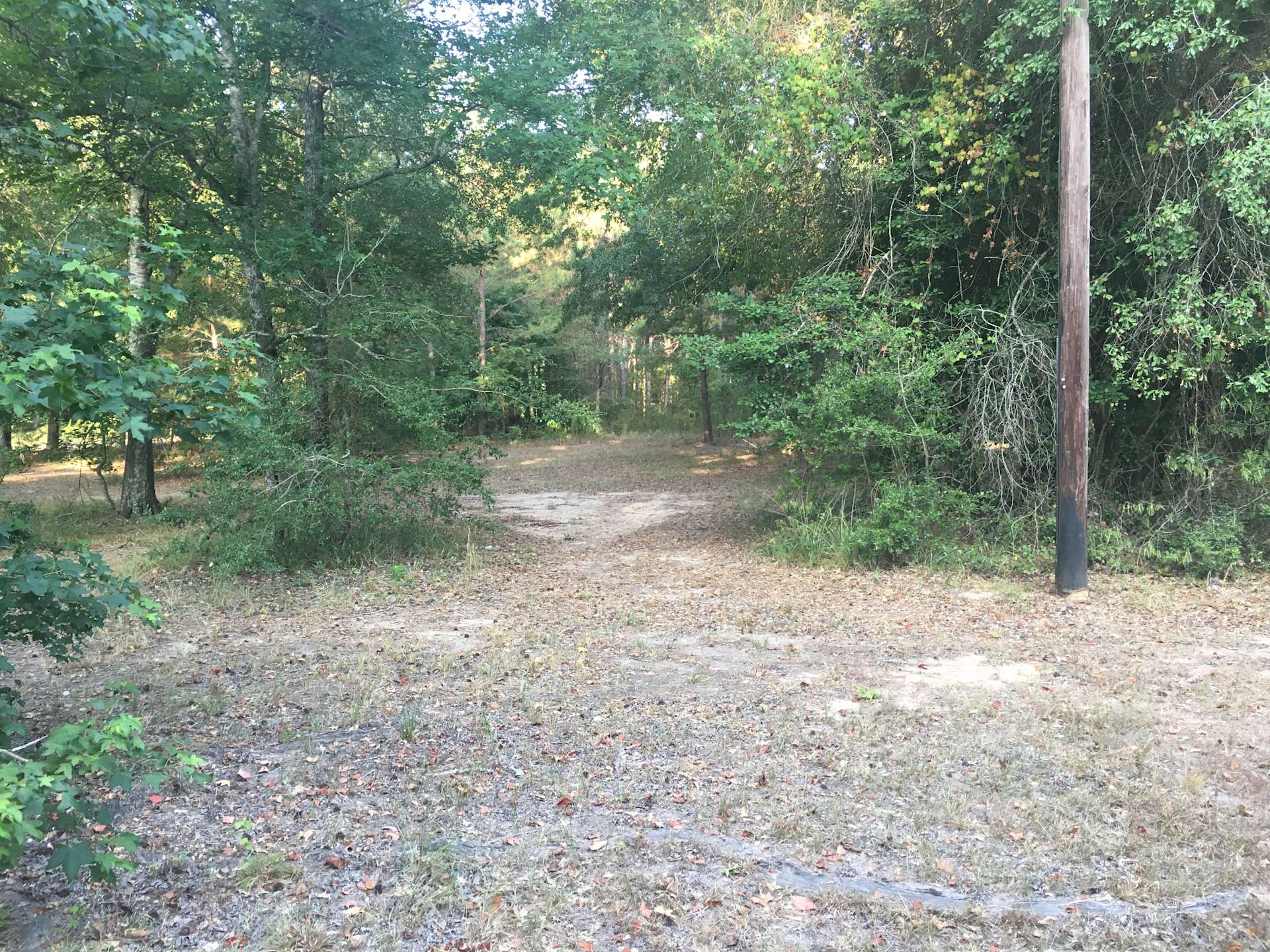 Hazel Park - Hipcamp in Panorama Village, Texas