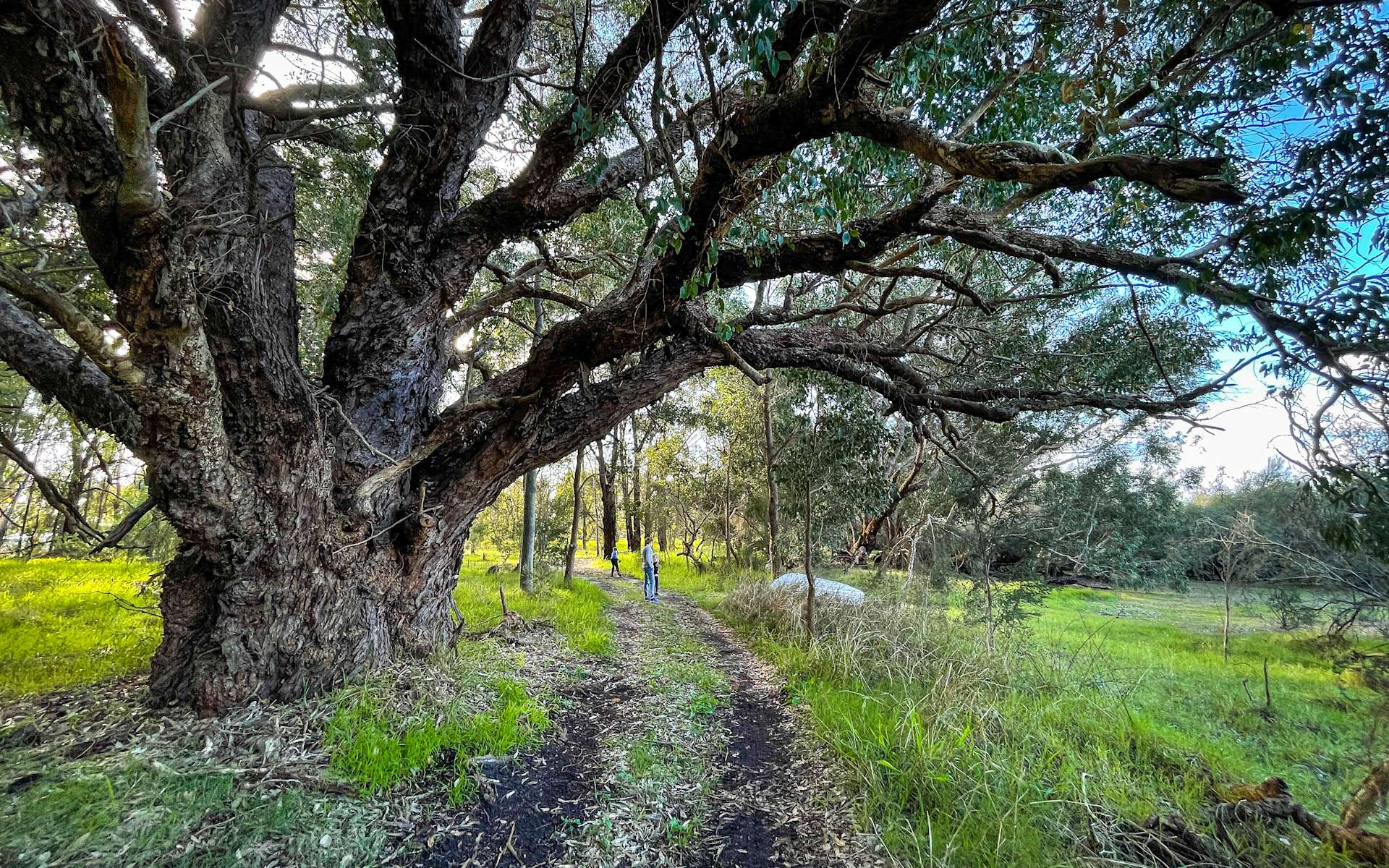 Rose’s Reserve - Hipcamp in Coolup, Western Australia