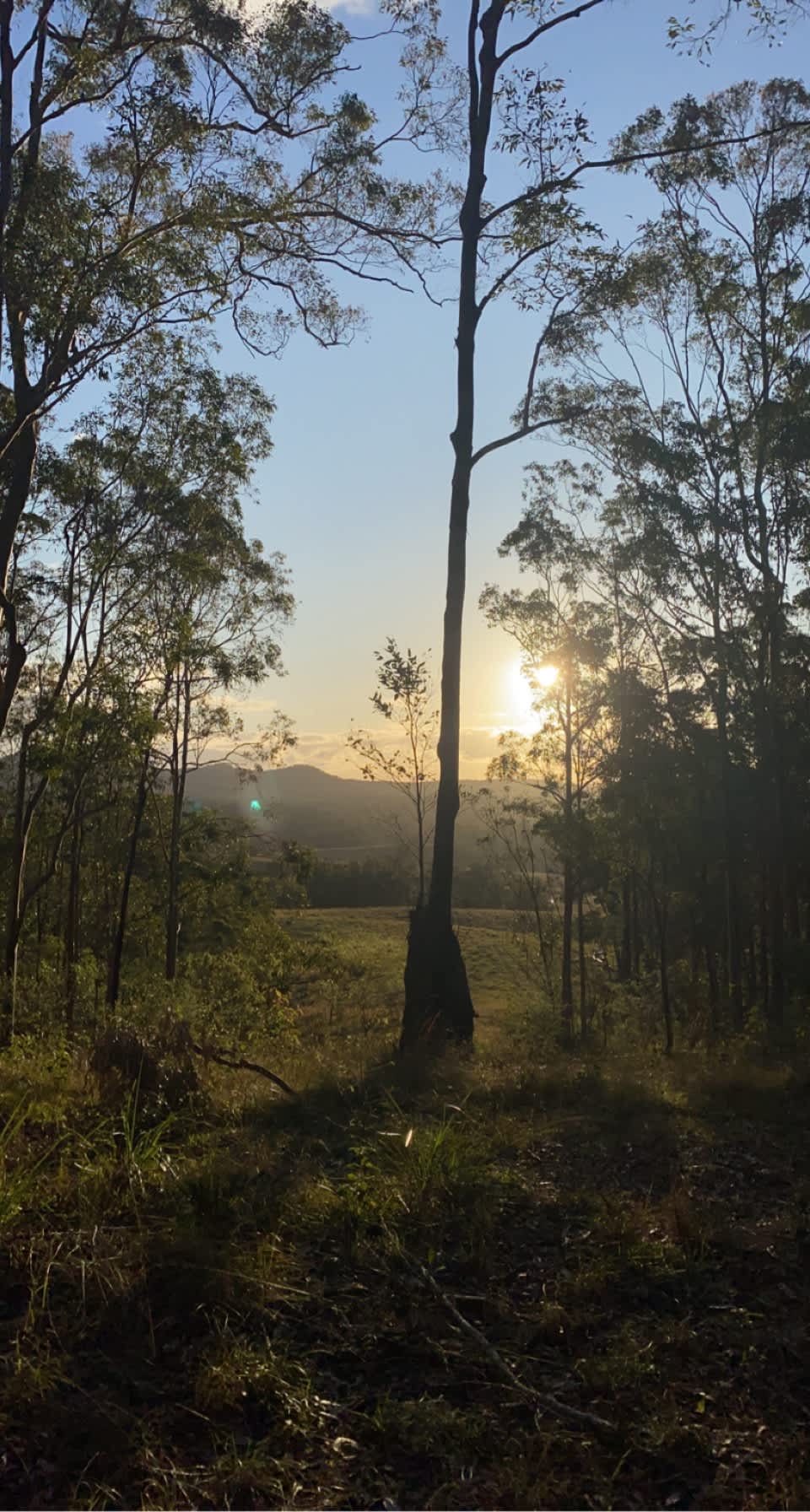 Moore Trees Bush Camp - Hipcamp in Collombatti, New South Wales