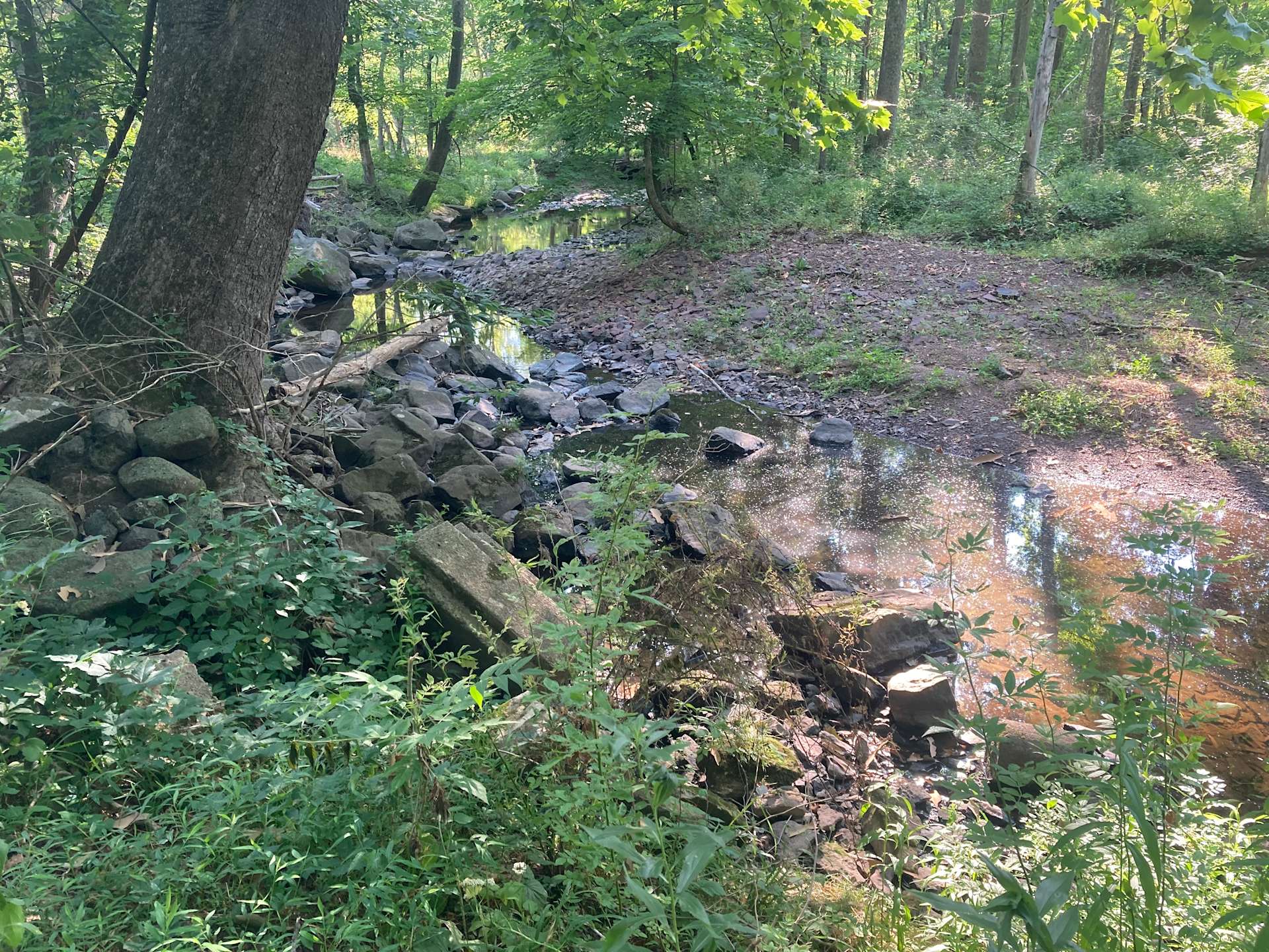 Grampy's Red Rock Rabbit Ranch - Hipcamp in Schwenksville, Pennsylvania
