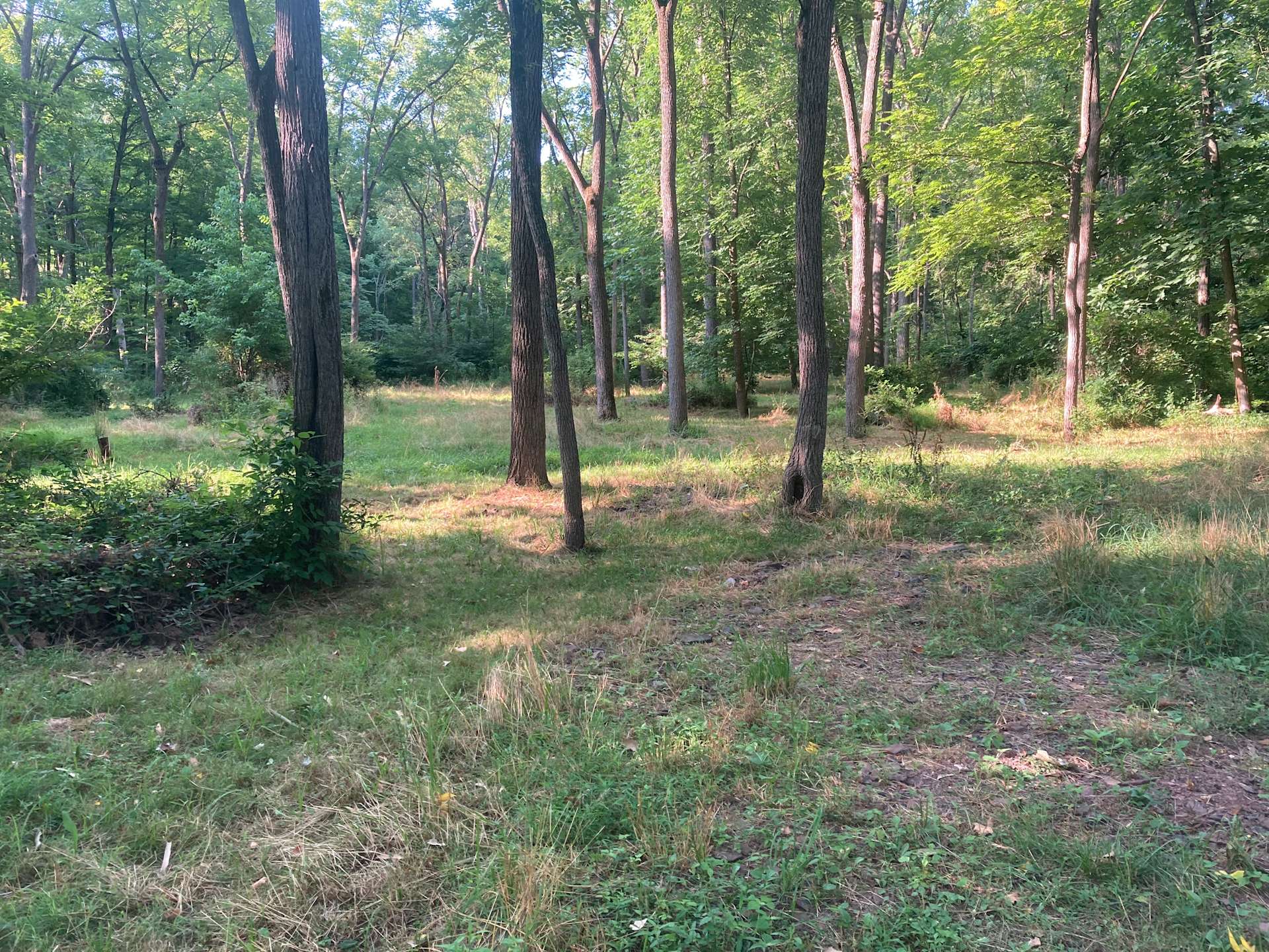 Grampy's Red Rock Rabbit Ranch - Hipcamp in Schwenksville, Pennsylvania