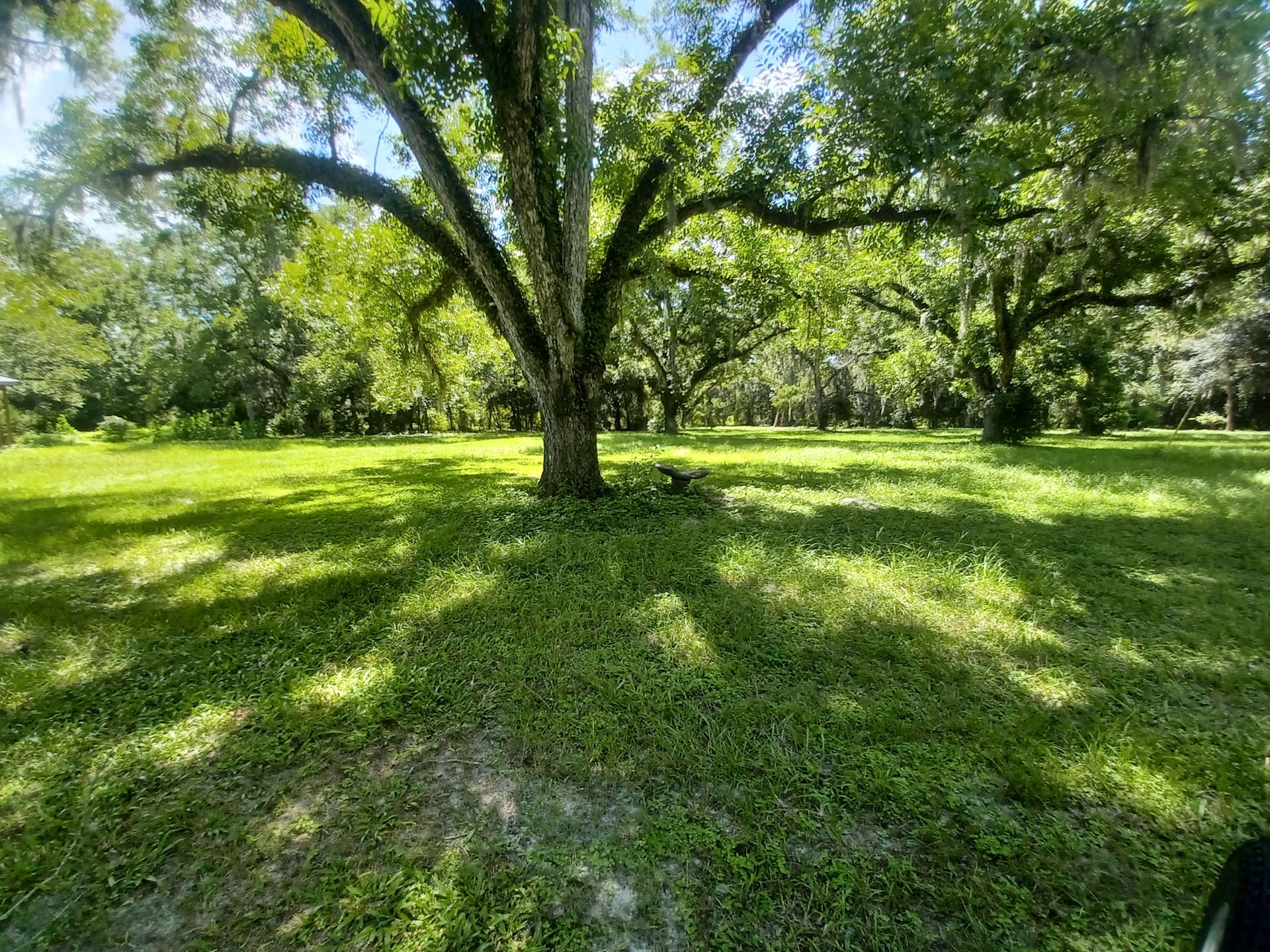 Common Ground - Hipcamp in Hampton, Florida