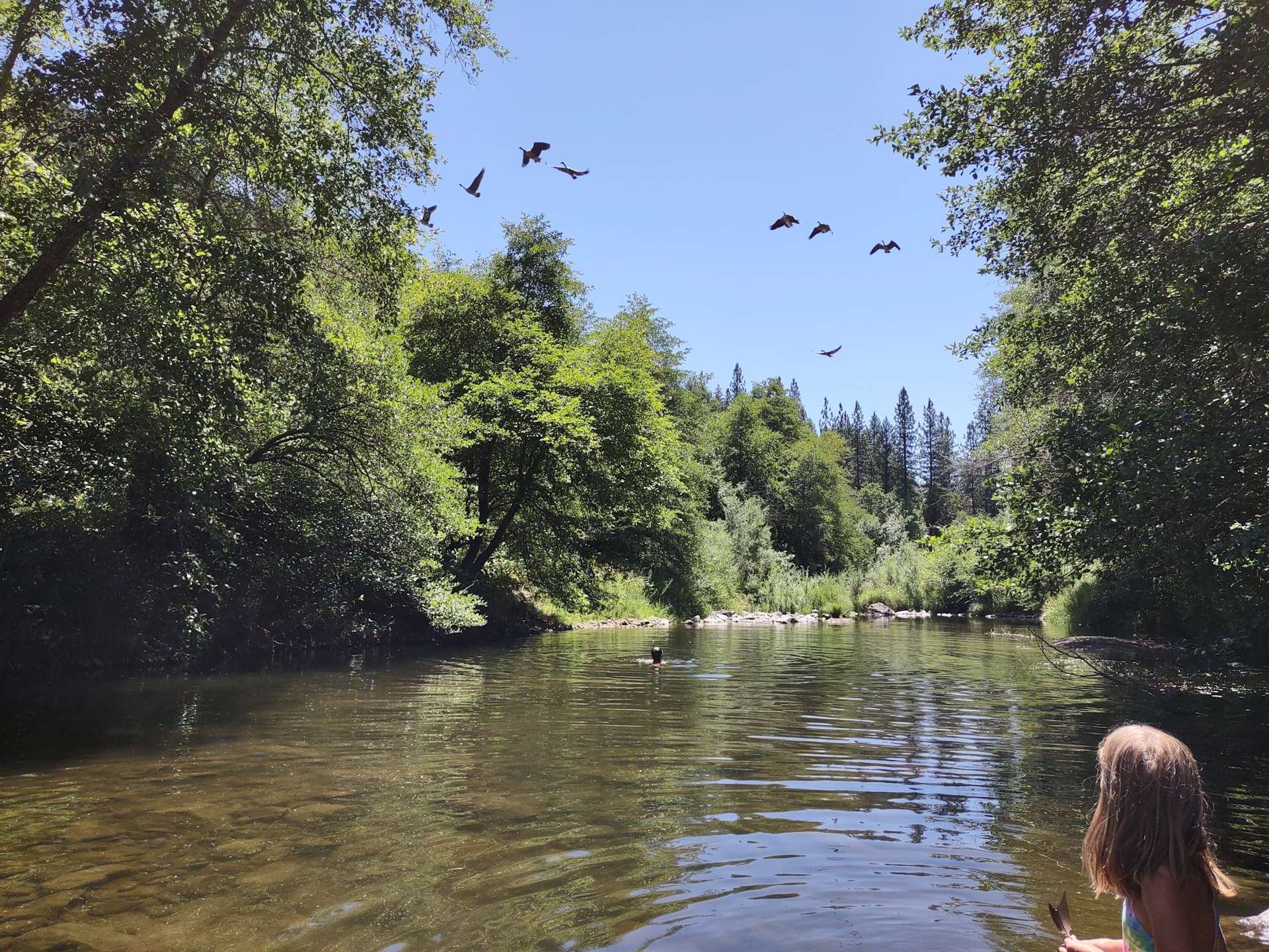 Creekside Campground - Hipcamp in Rogue River, Oregon