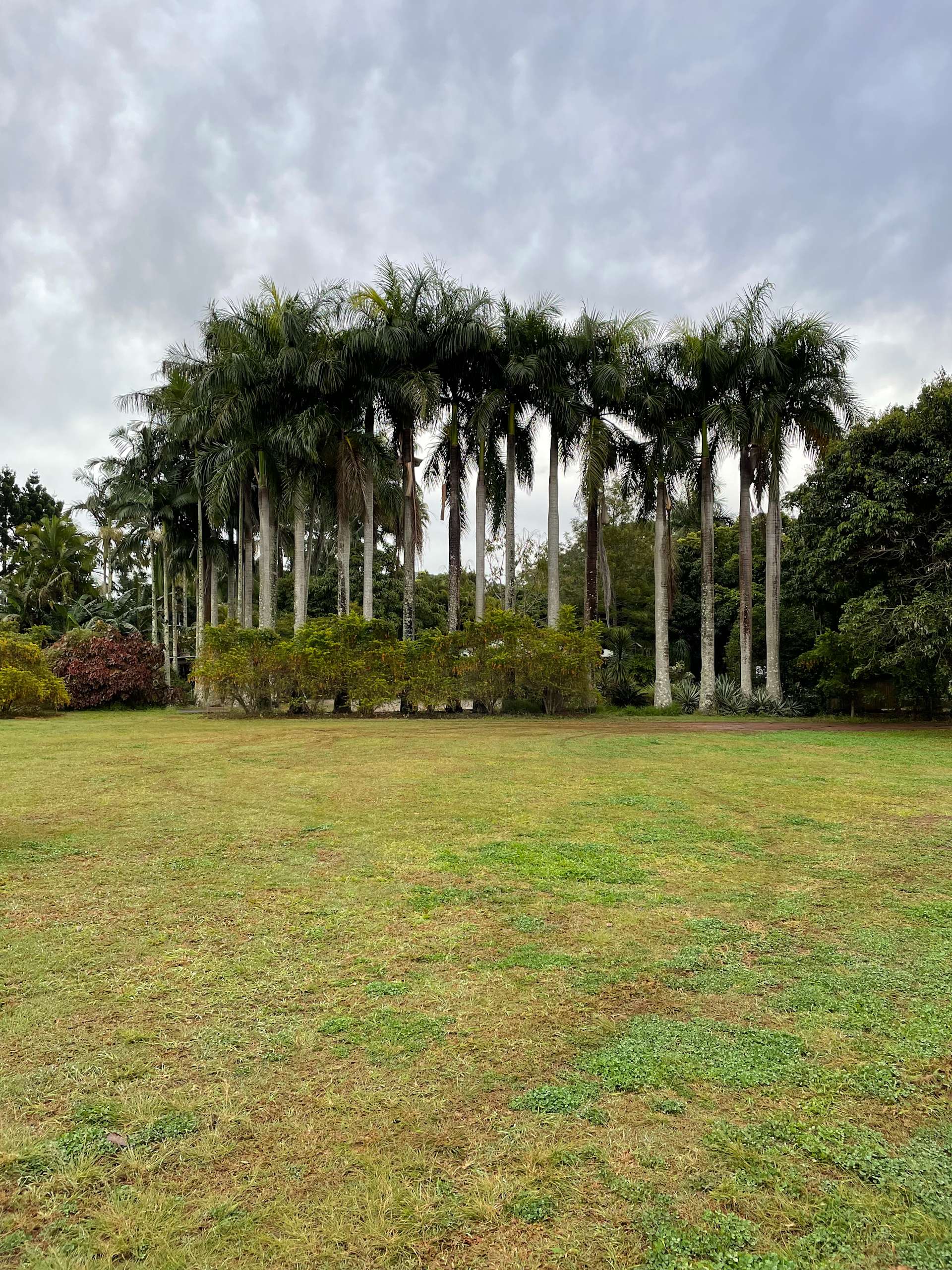 Sublime Camping - Hipcamp in Kia Ora, Queensland