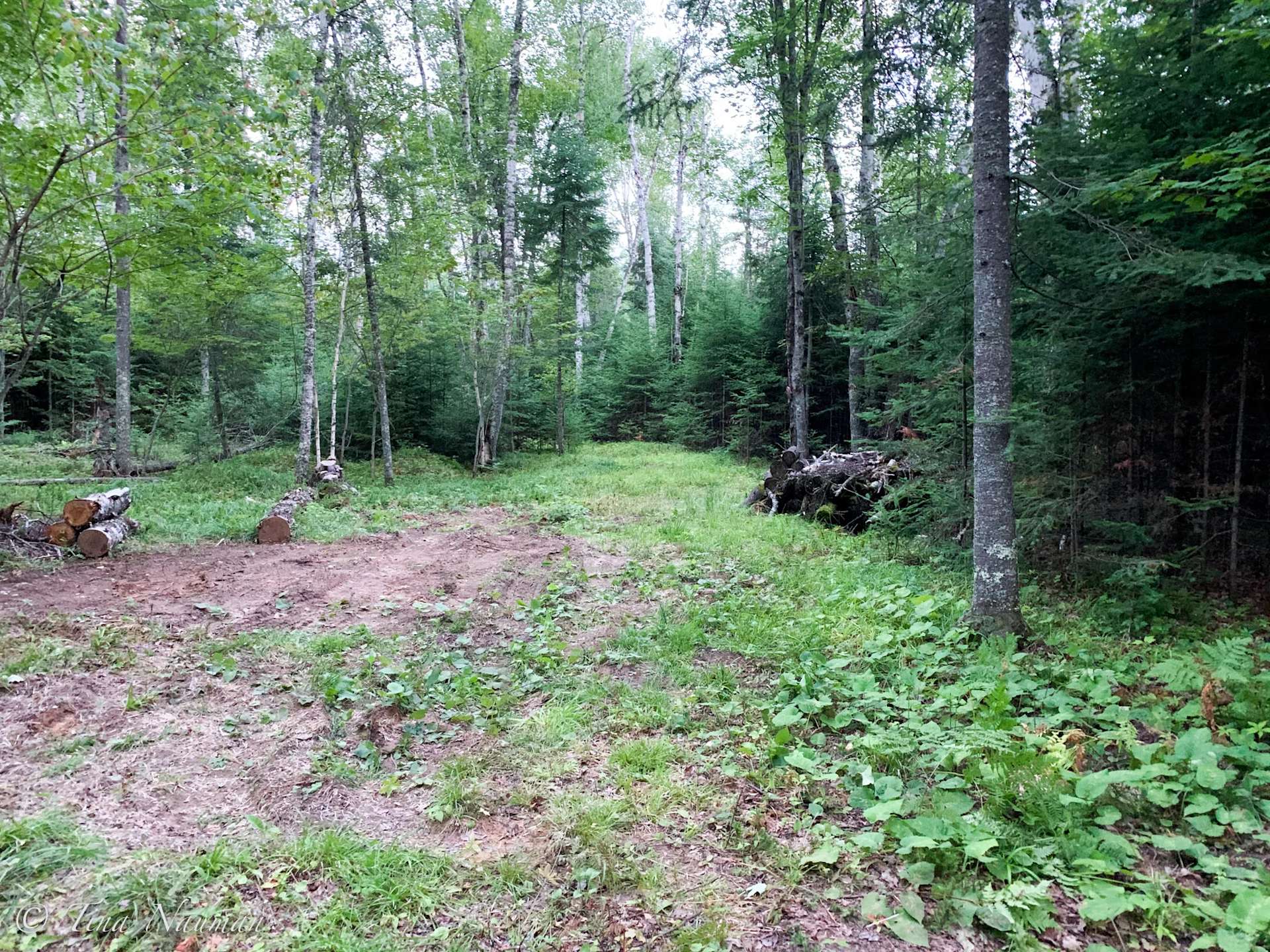Turbera Vista - Hipcamp in Iron Junction, Minnesota