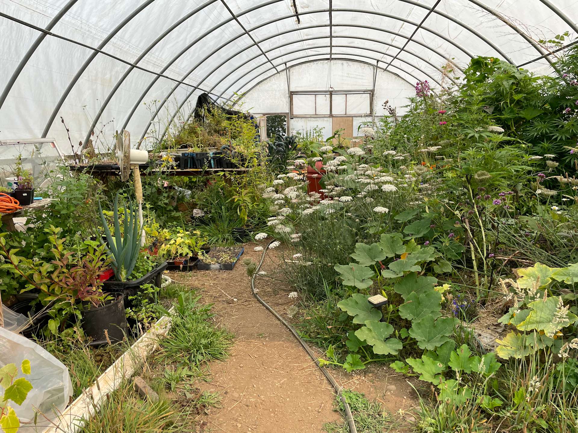 Ossia Village Farm - Hipcamp in Crescent City, California