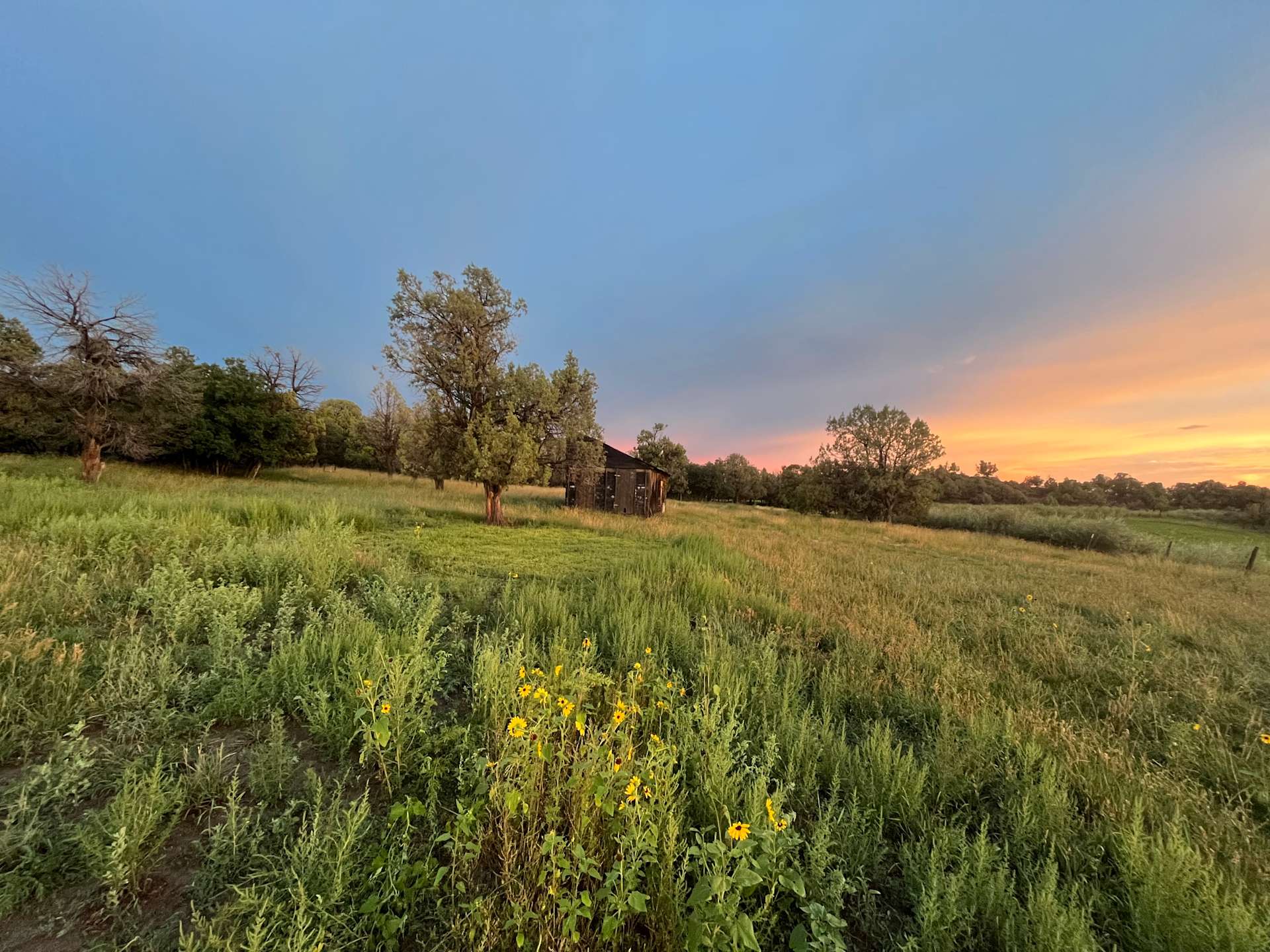 Fourth Sister Farm - Hipcamp in Ignacio, Colorado