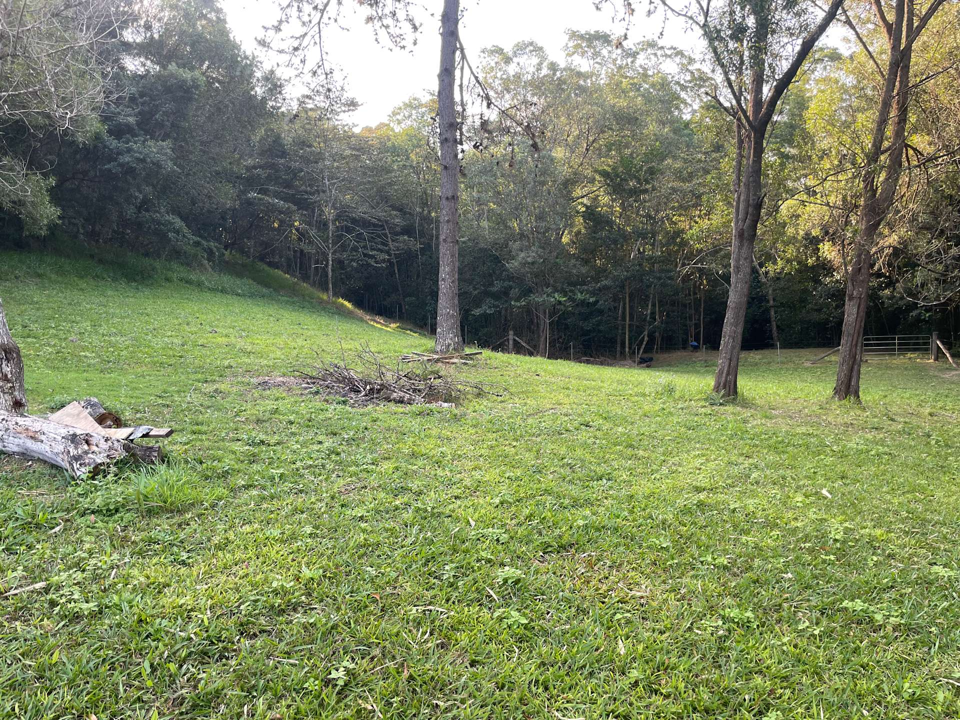 Kin Kin Creekside Camp - Hipcamp in Kin Kin, Queensland