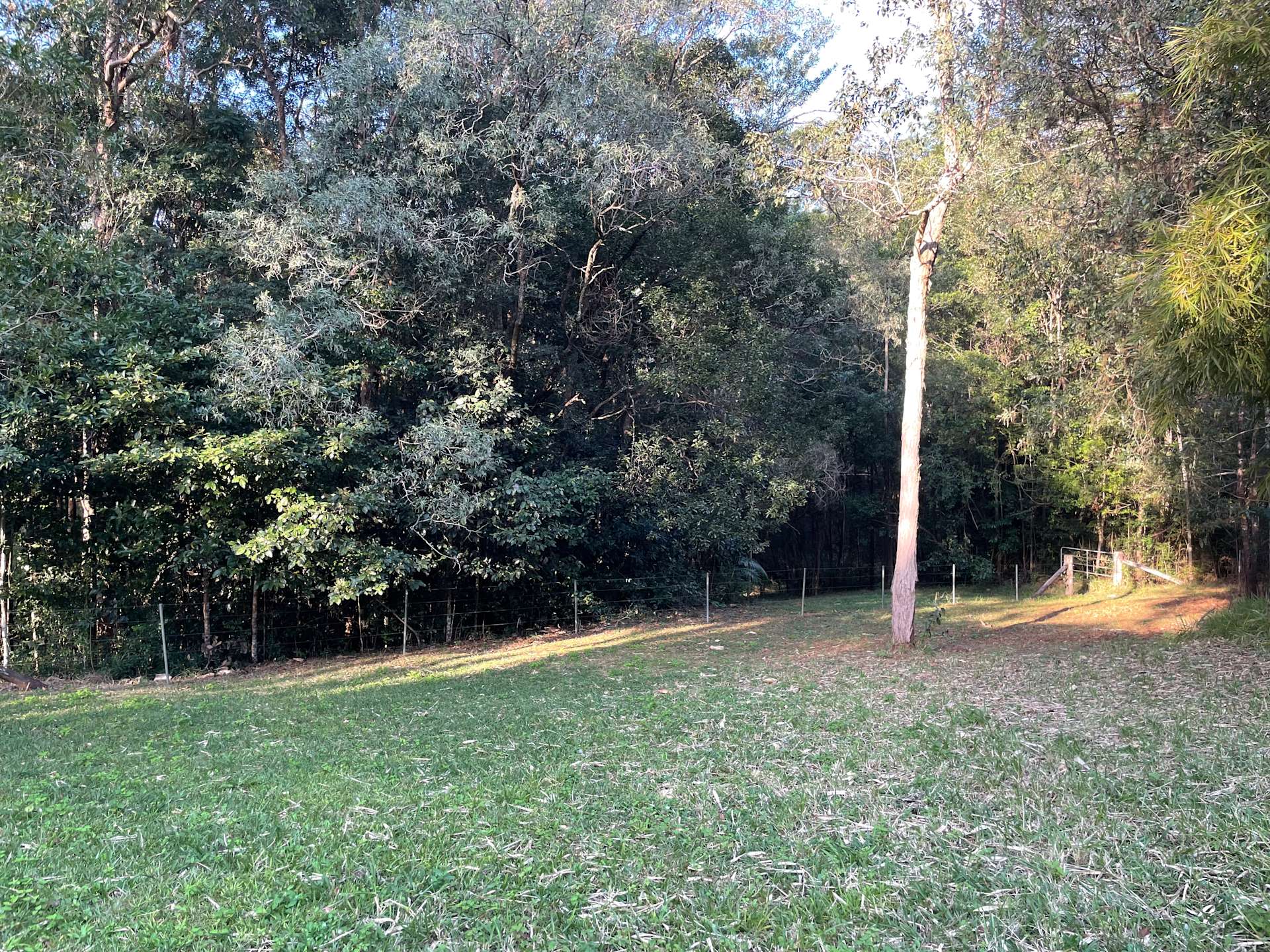 Kin Kin Creekside Camp - Hipcamp in Kin Kin, Queensland