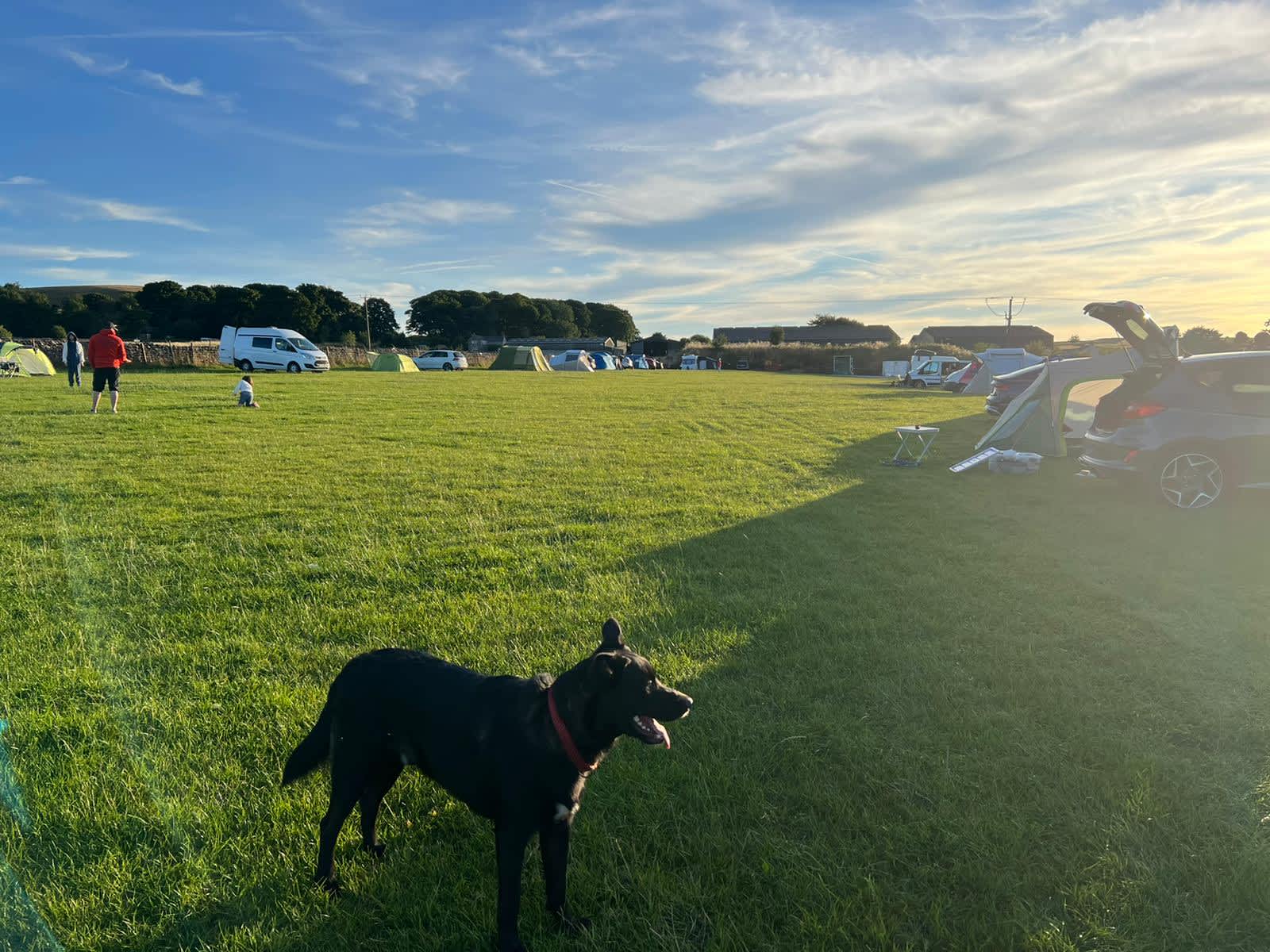 White House Farm Campsite, Wardlow - Hipcamp in Wardlow, England