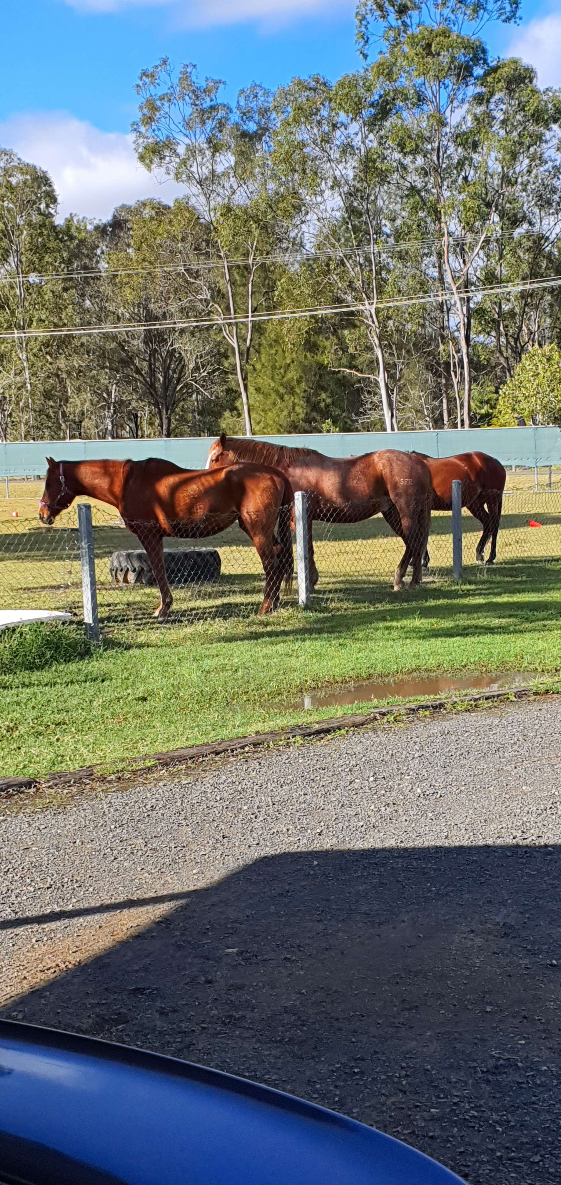 Coominya Getaway - Hipcamp in Lowood, Queensland