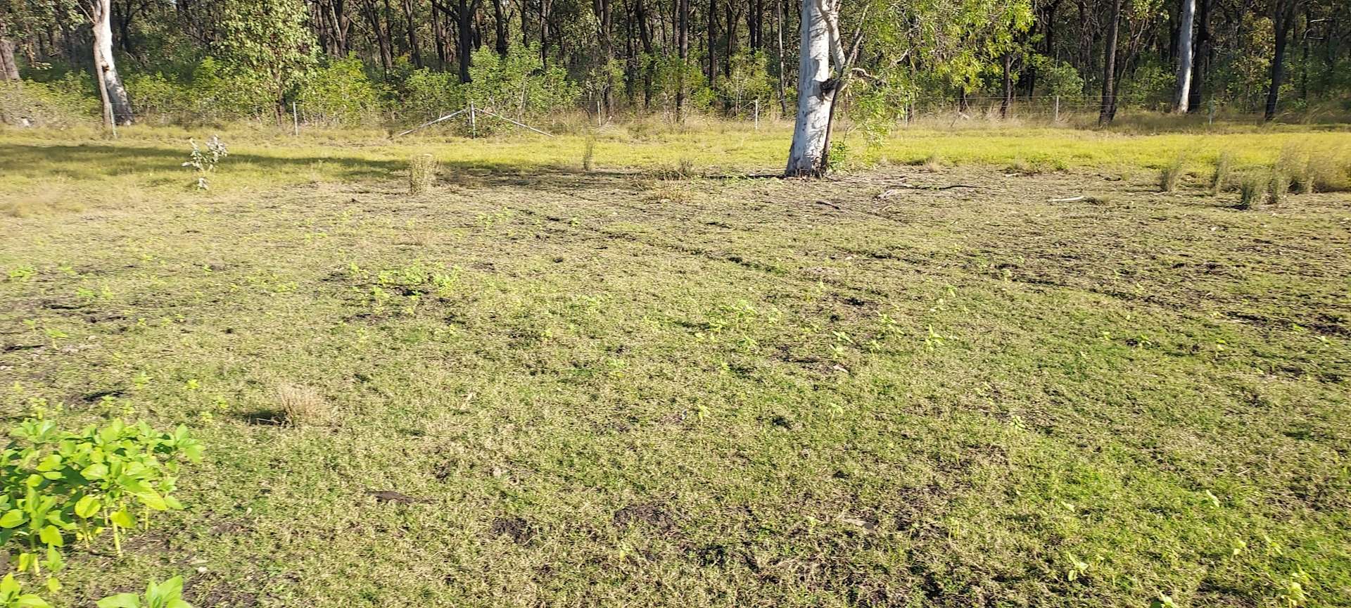 Canoona Park - Hipcamp in , Queensland