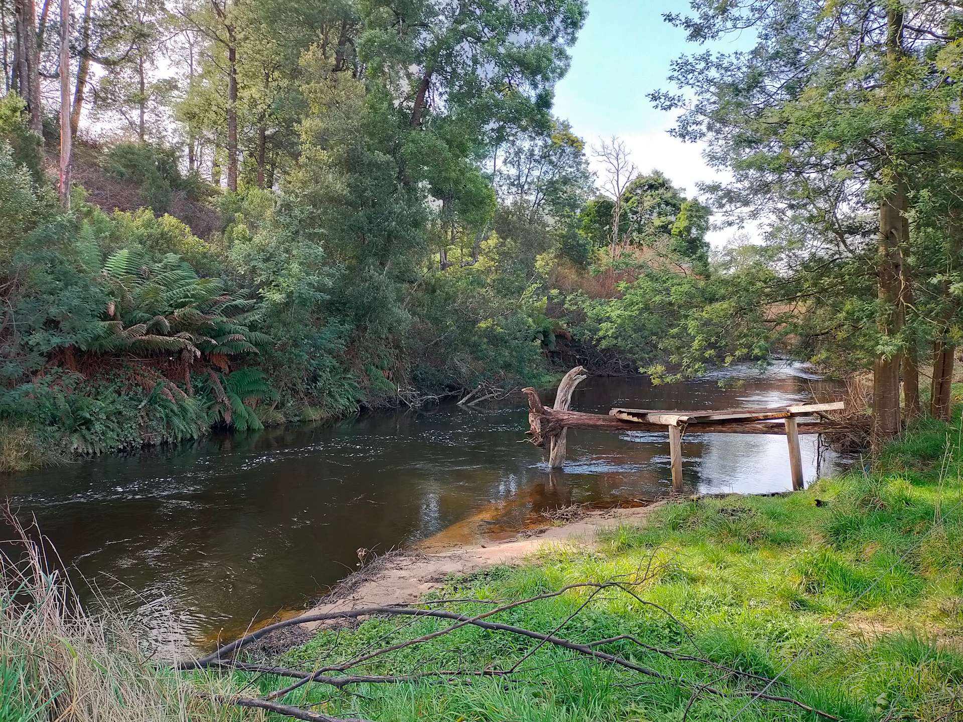 Fairview Farm Ringarooma Tasmania - Hipcamp in , Tasmania