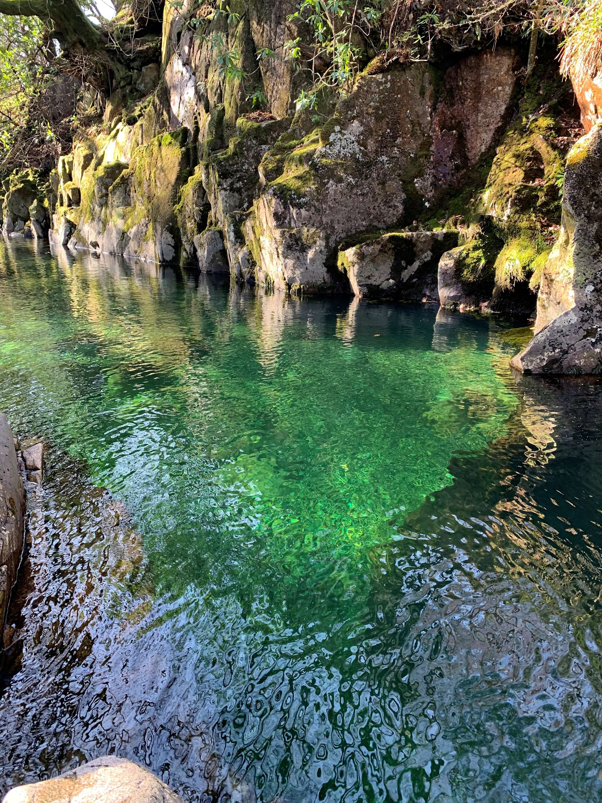 Dalegarth Campsite - Hipcamp in Holmrook, England