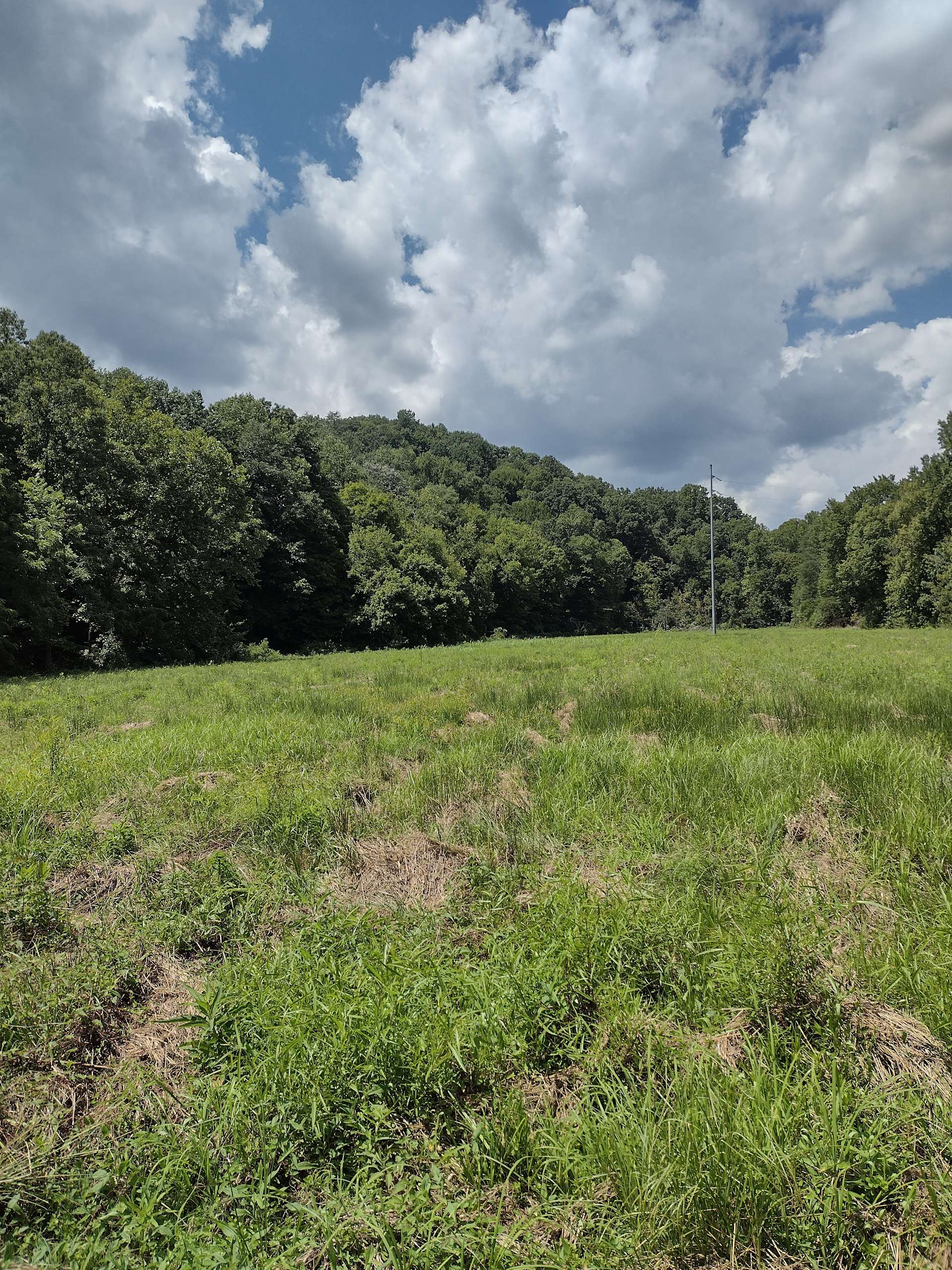 Creek side stay rocky top!! - Hipcamp in , Tennessee
