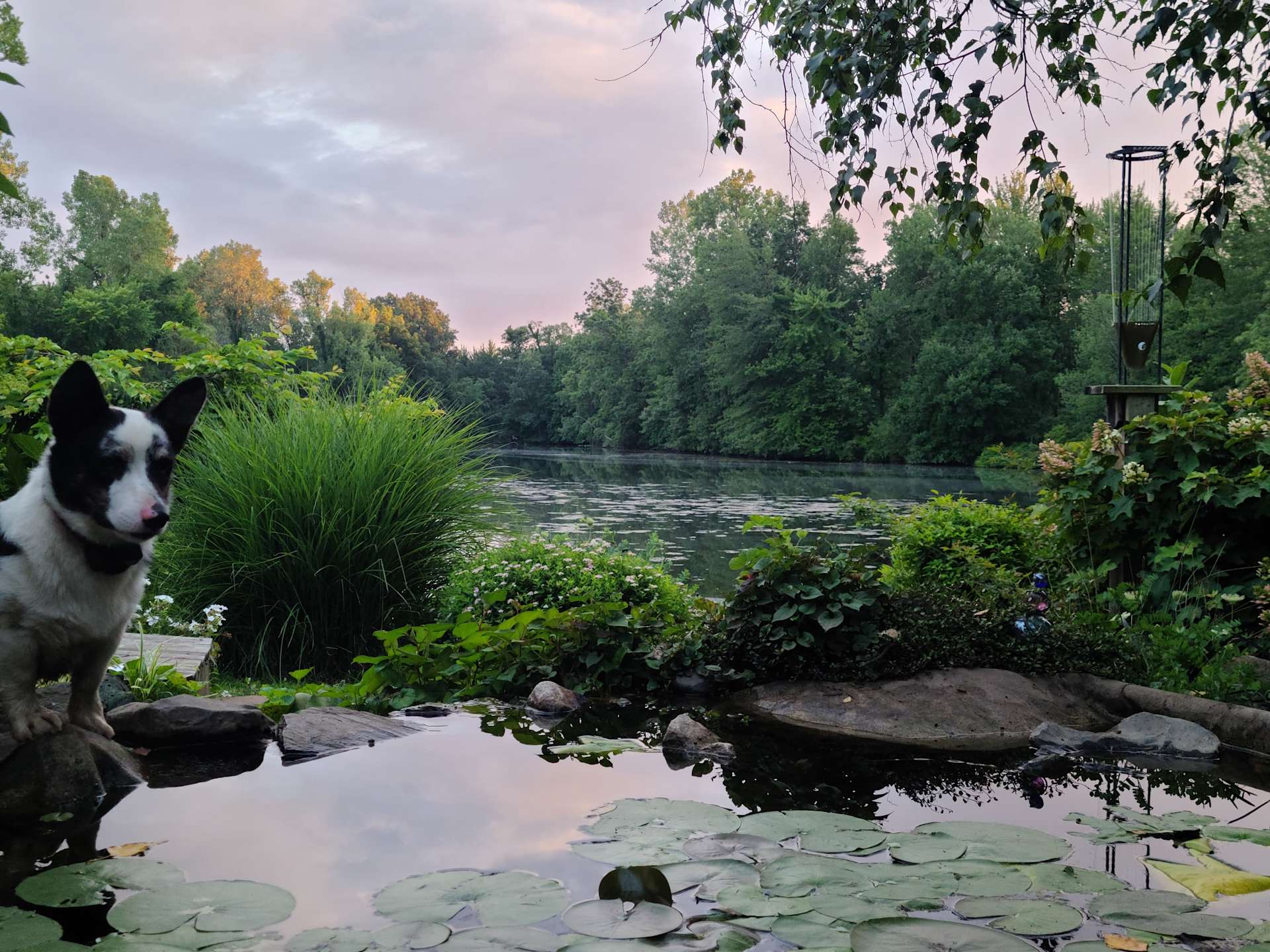 Pondor Lake Southwest Michigan - Hipcamp in Mendon, Michigan