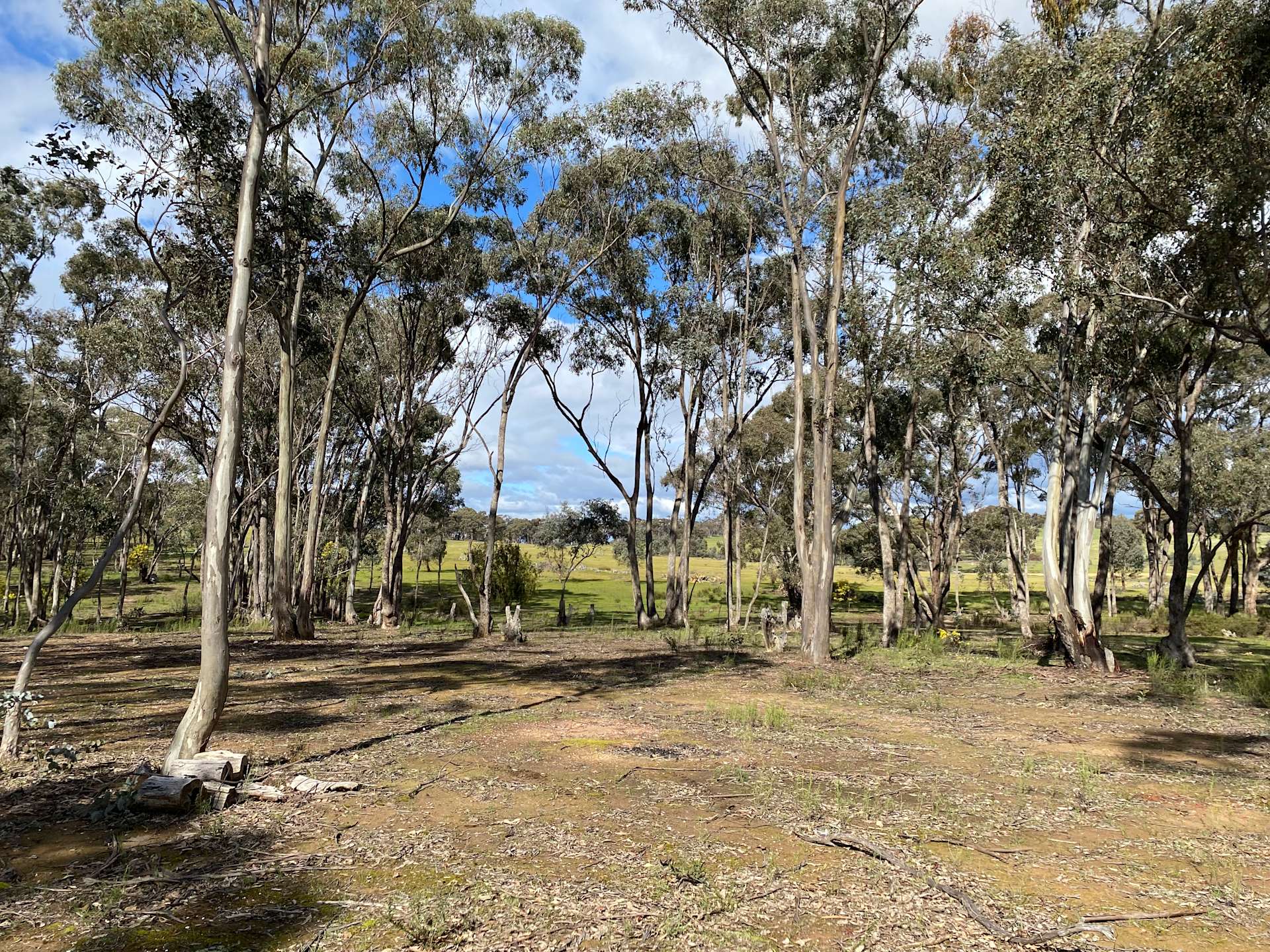 Muckleford Bush Block - Hipcamp in Muckleford, Victoria