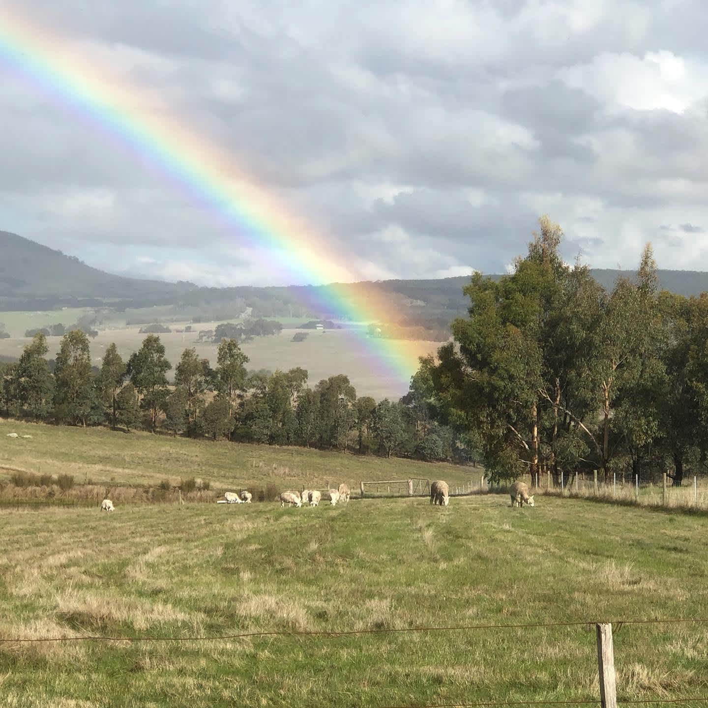 Nulla Vale Farm Stay - Hipcamp in Nulla Vale, Victoria