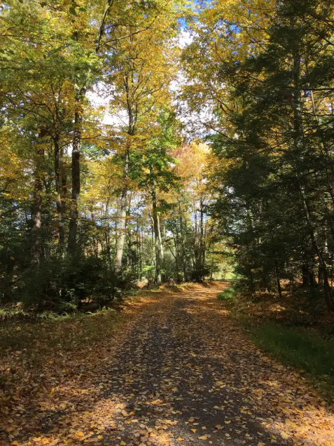 CampsiteDiscGolf @ HighHorizonsFarm - Hipcamp in , Pennsylvania