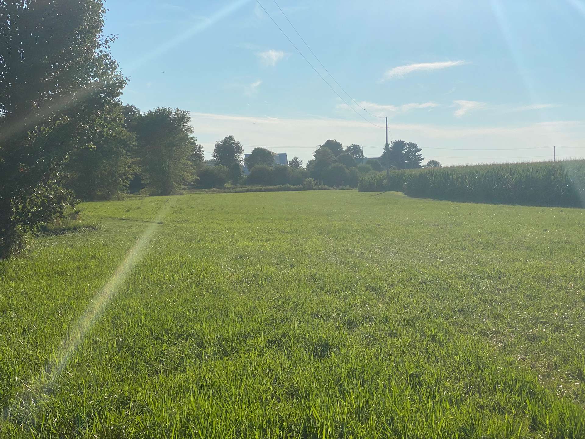 Hill Top Farms - Hipcamp in , Indiana