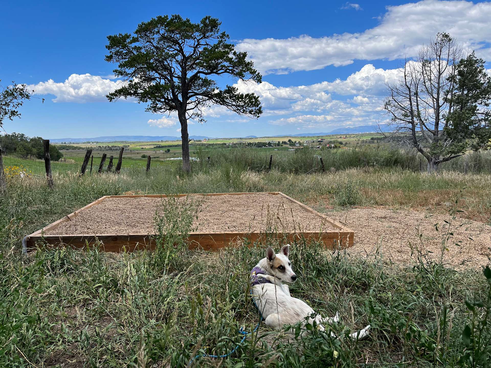 Fourth Sister Farm - Hipcamp in Ignacio, Colorado
