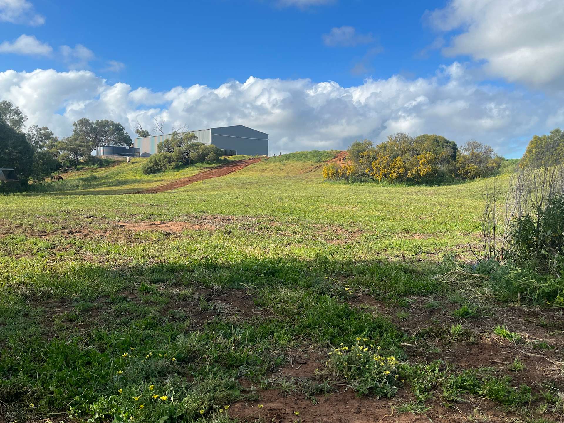 Hill River Farm - Hipcamp in Moonyoonooka, Western Australia
