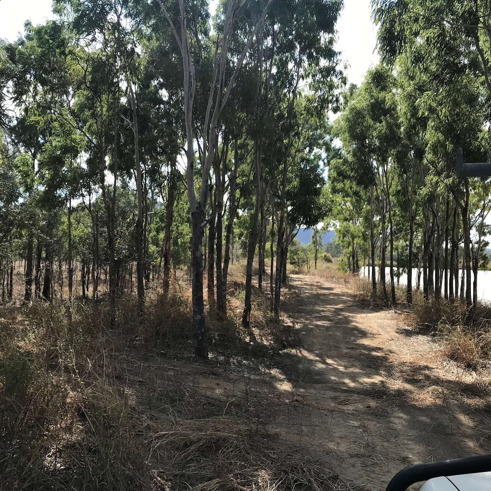 Hectic Valley Farm - Hipcamp in , Queensland
