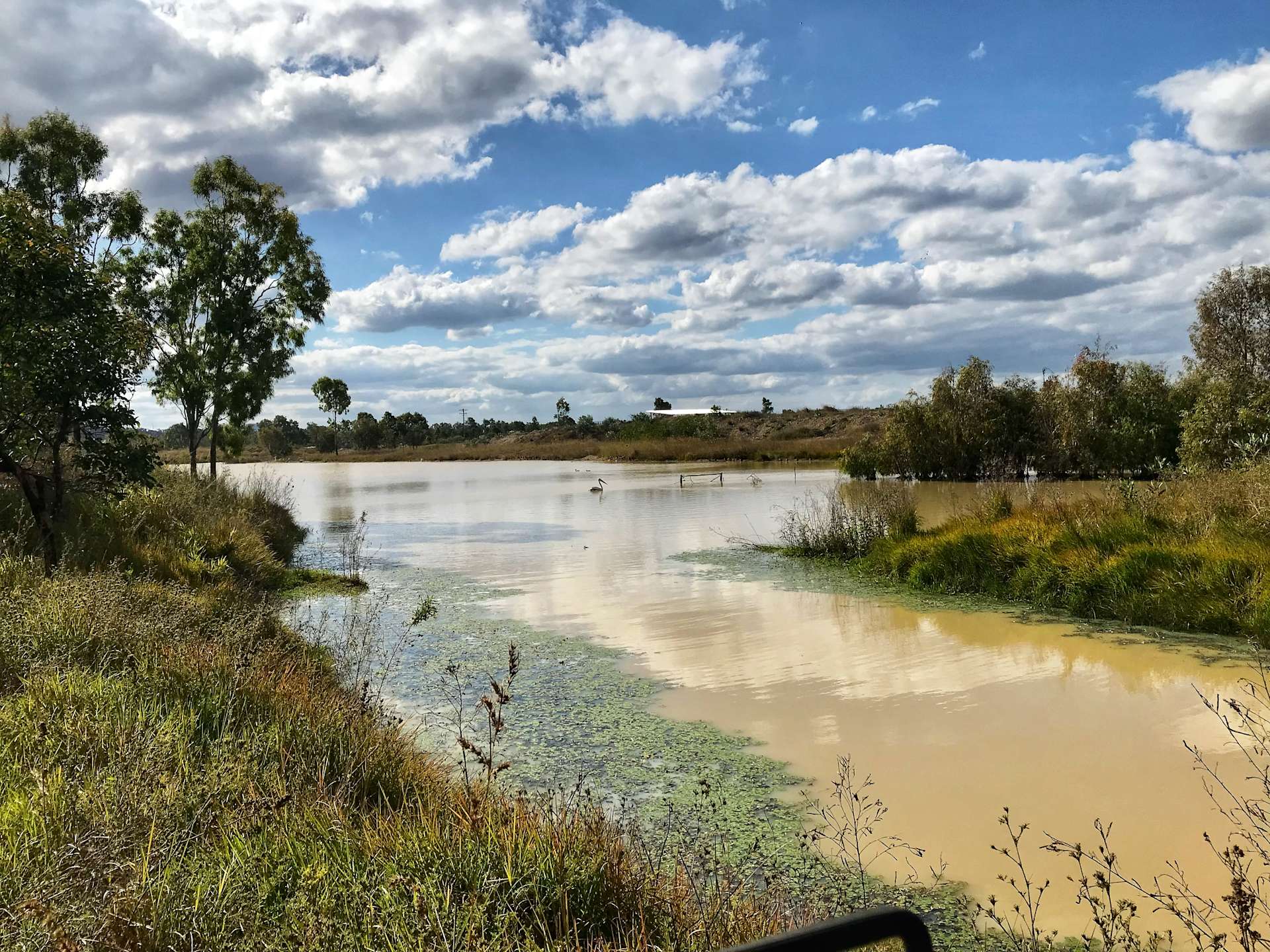 Hectic Valley Farm - Hipcamp in , Queensland