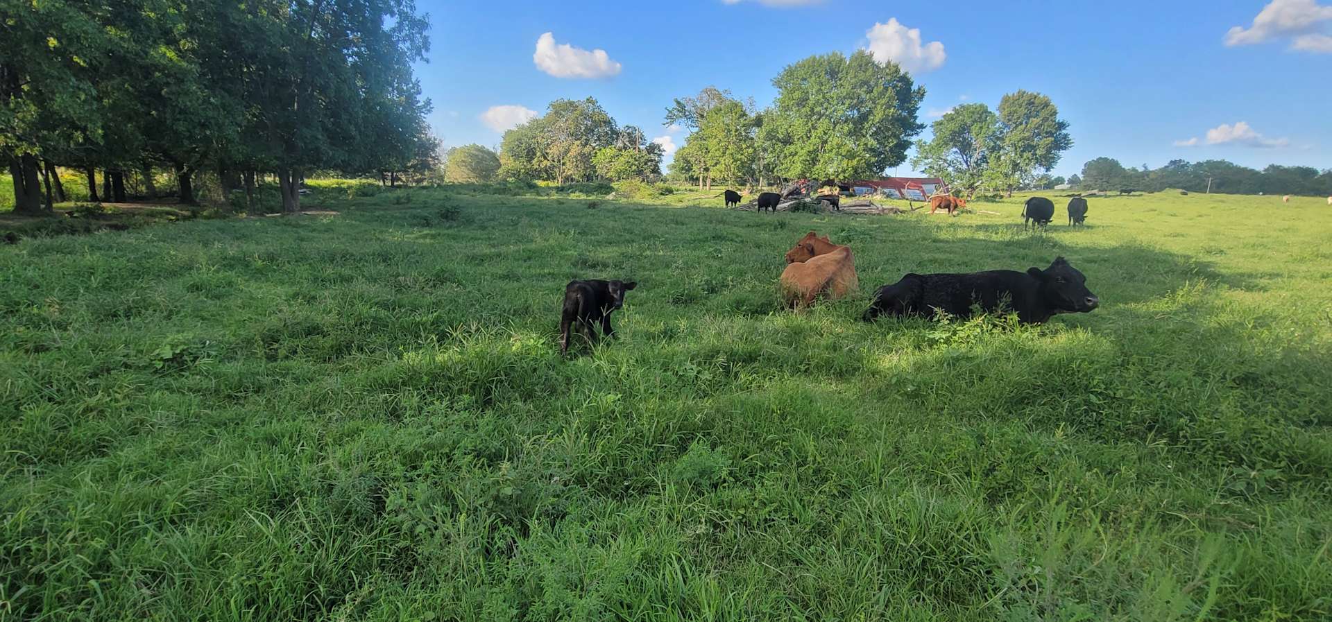 BIKES BLUES and BBQ Farm Camp - Hipcamp in Bentonville, Arkansas