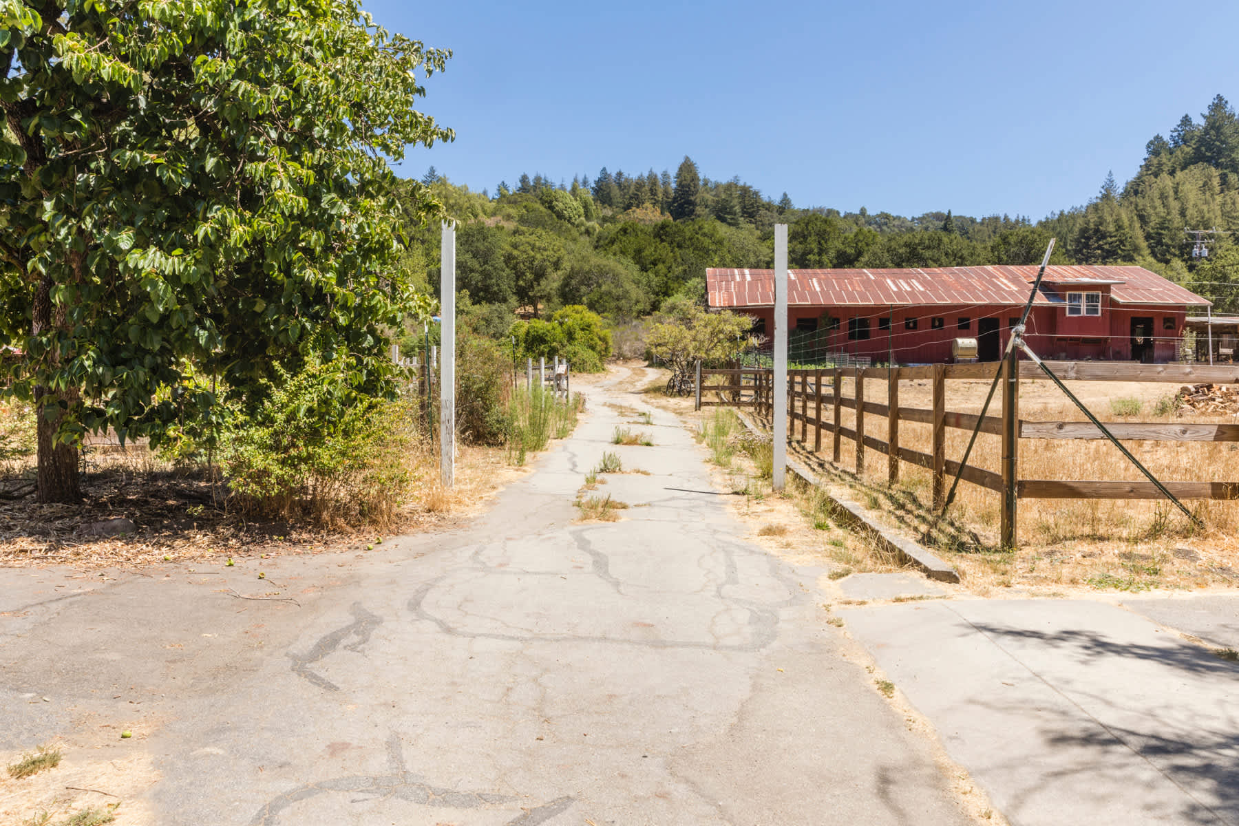 Hidden Spring Ranch - Hipcamp in Santa Cruz, California