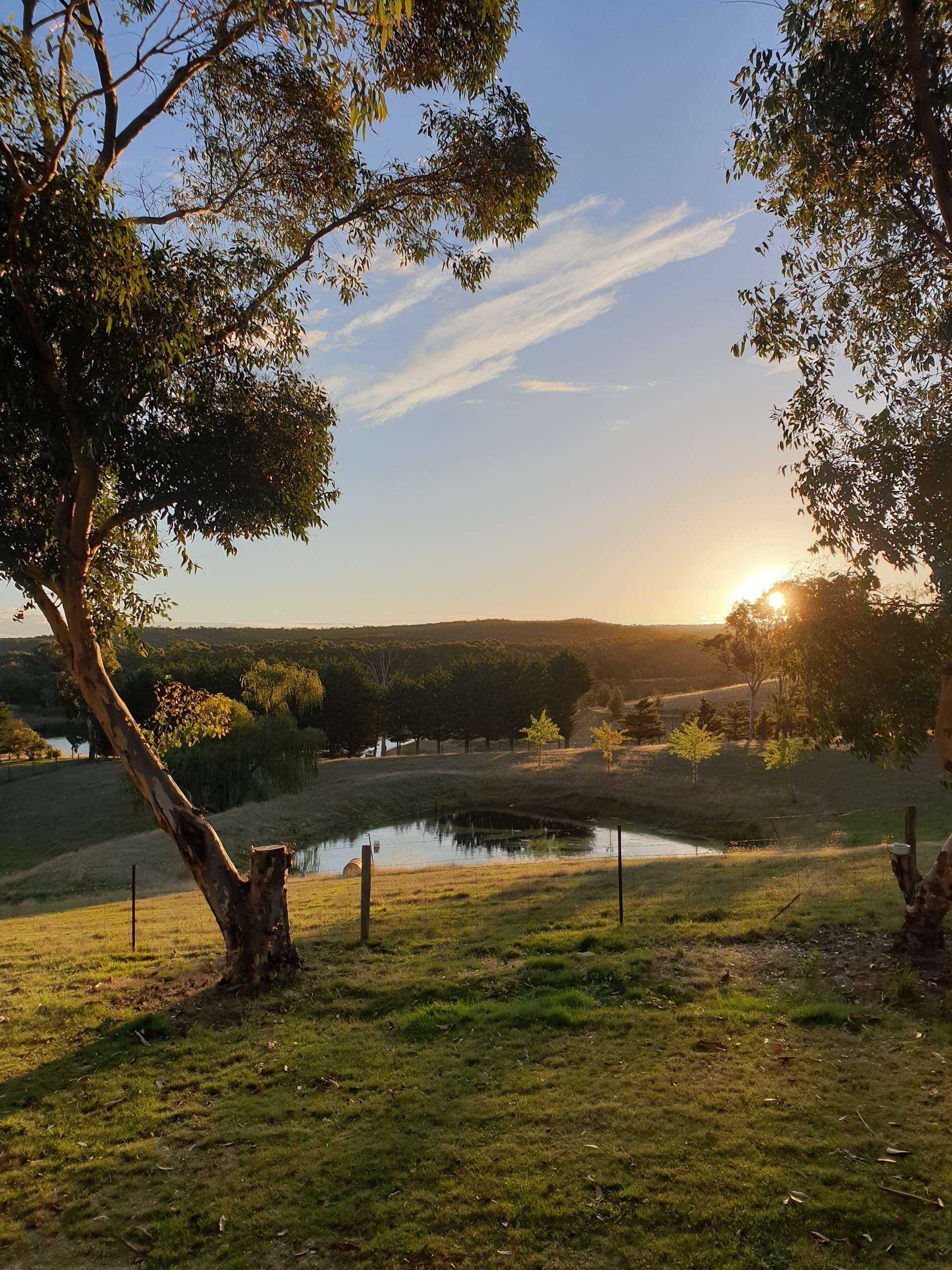 The back paddock at 5 Acre Farm - Hipcamp in Taradale, Victoria