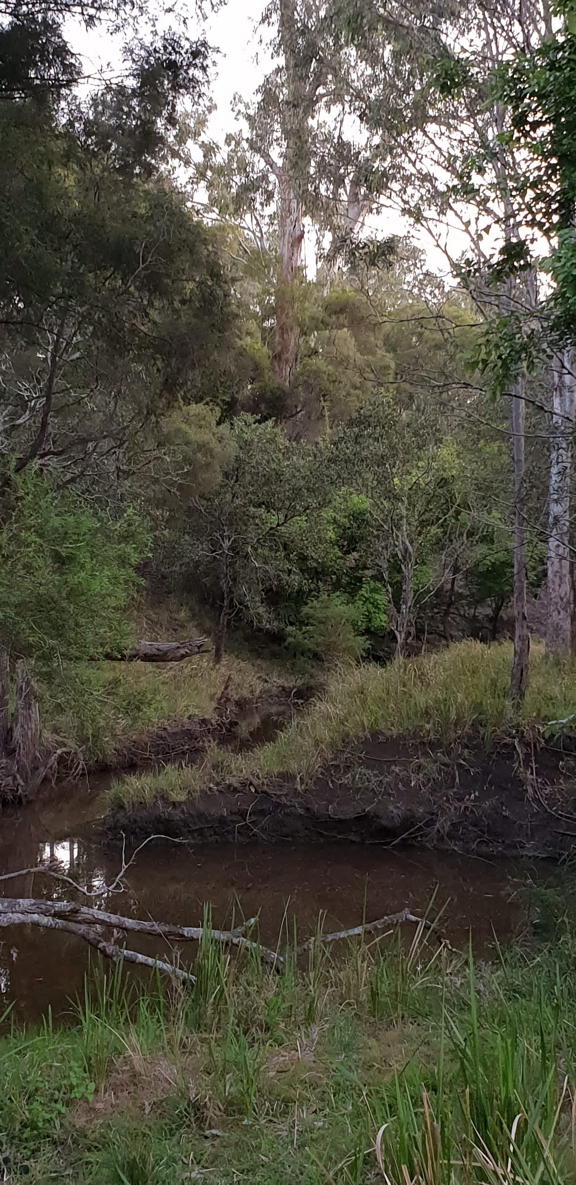 Willow Waters - Hipcamp in Barney View, Queensland