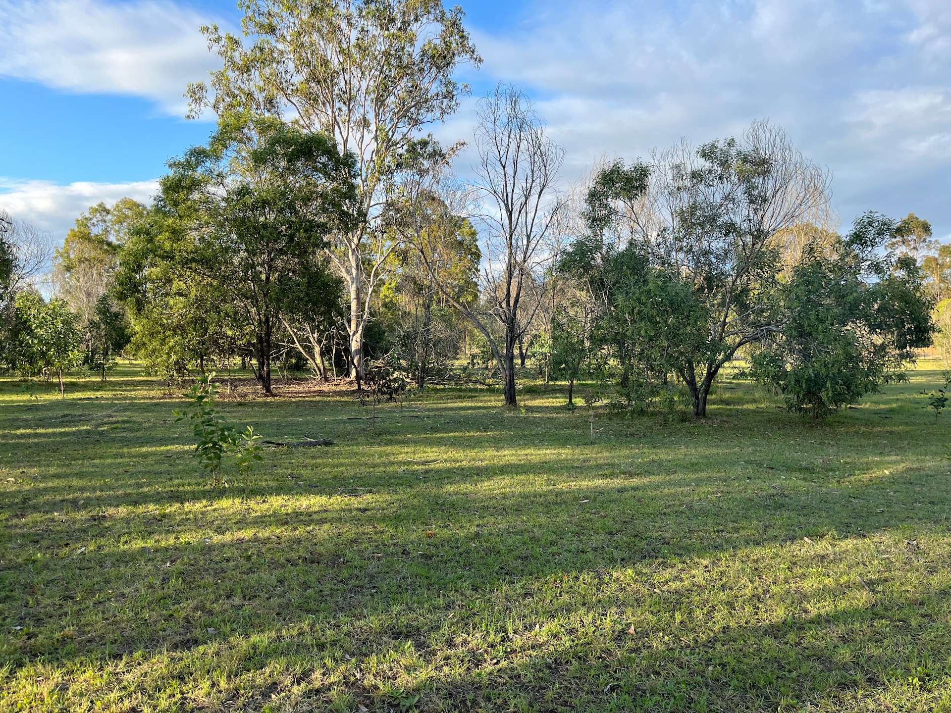 Coominya Getaway - Hipcamp in , Queensland