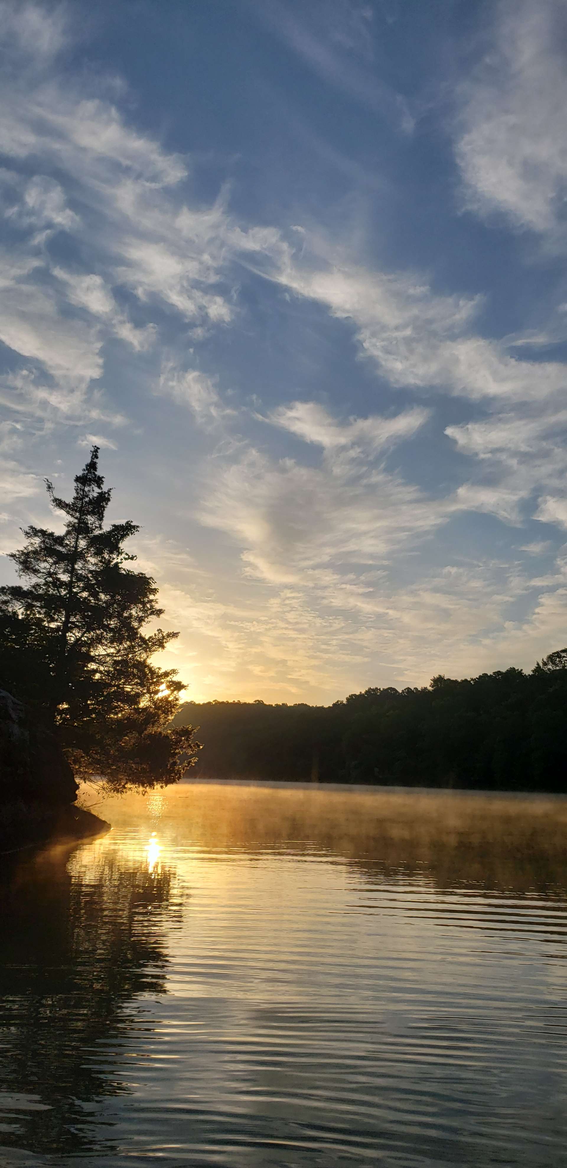 Earthella's Homestead - Hipcamp in Knoxville, Arkansas